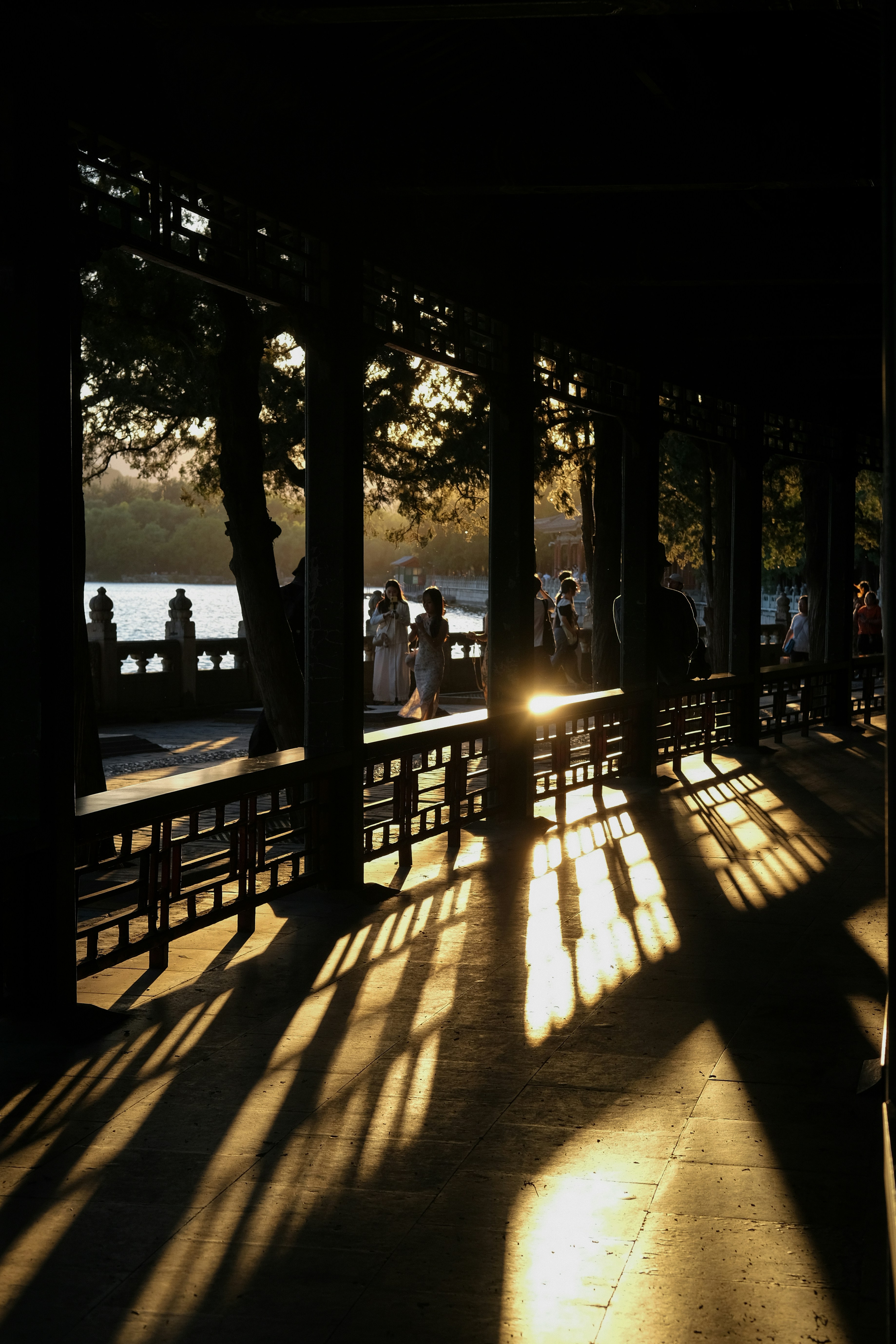 Sunlit Struts: A Quiet Evening Portrait at the Pavilion
