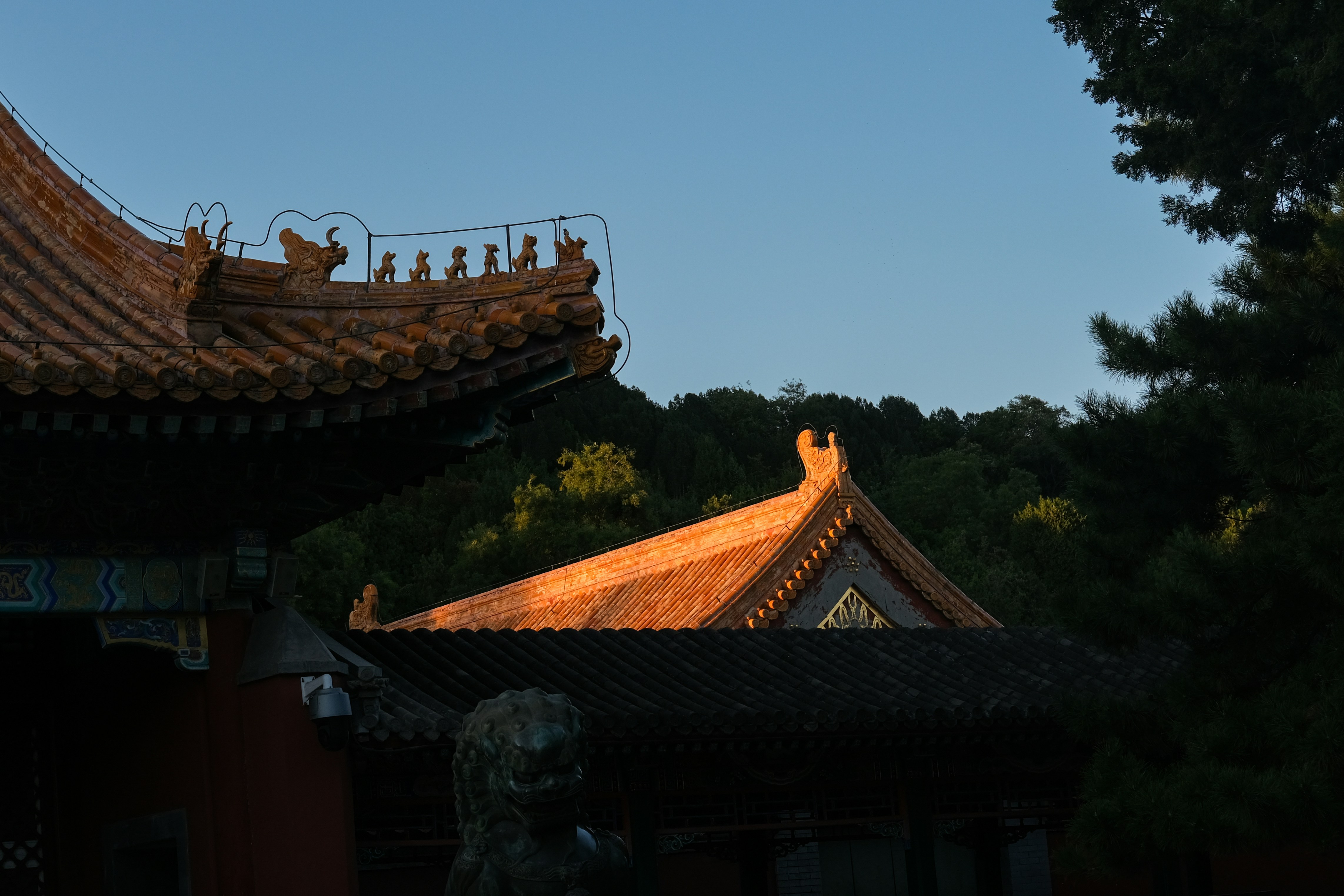 Sunlit Rooflines: A Quiet Moment Beneath the Orb of the Temple