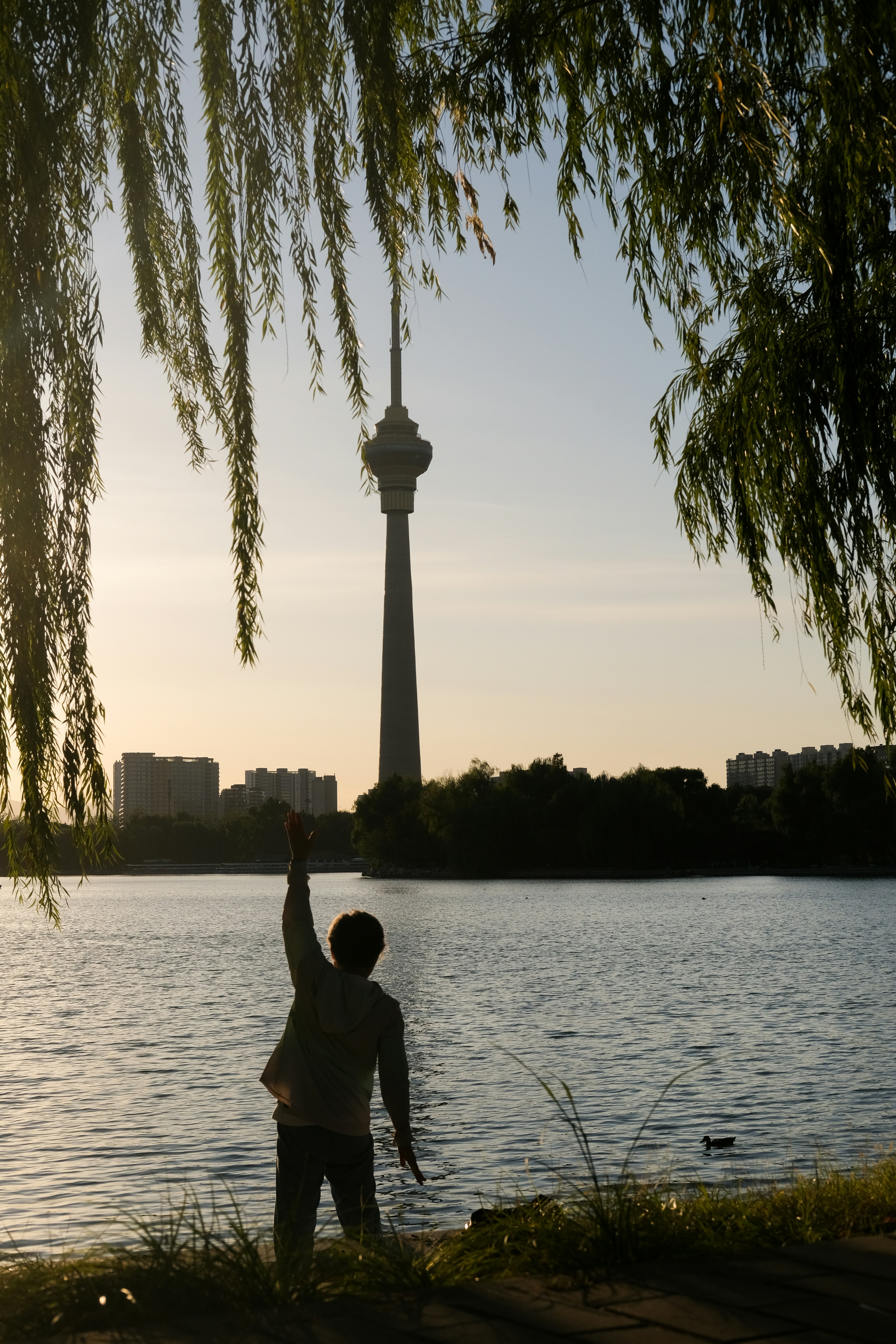 Silent Gesture by the Water: The Tower Beyond the Willows