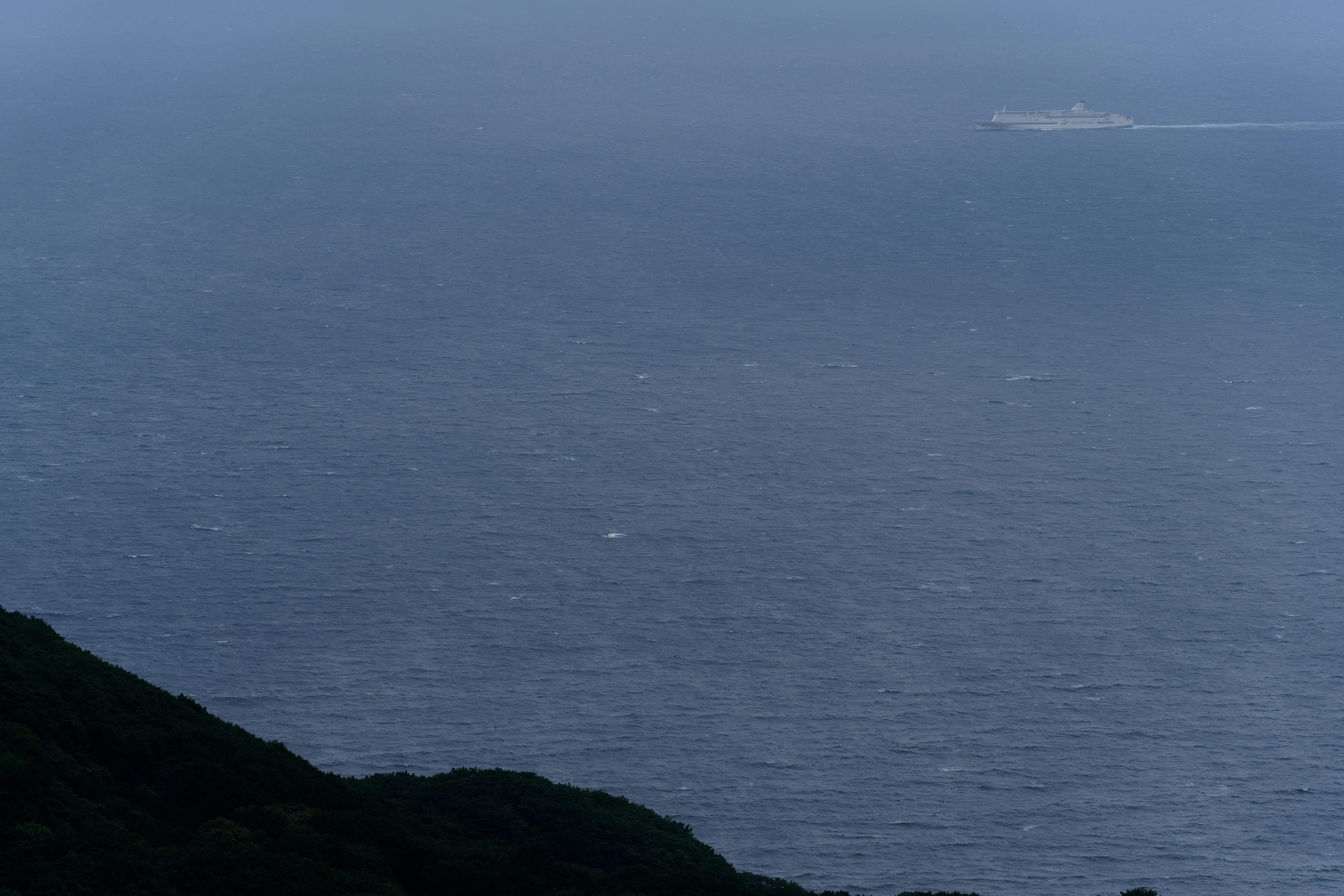 Edge of the Sea: A Quiet Horizon from the Cliff