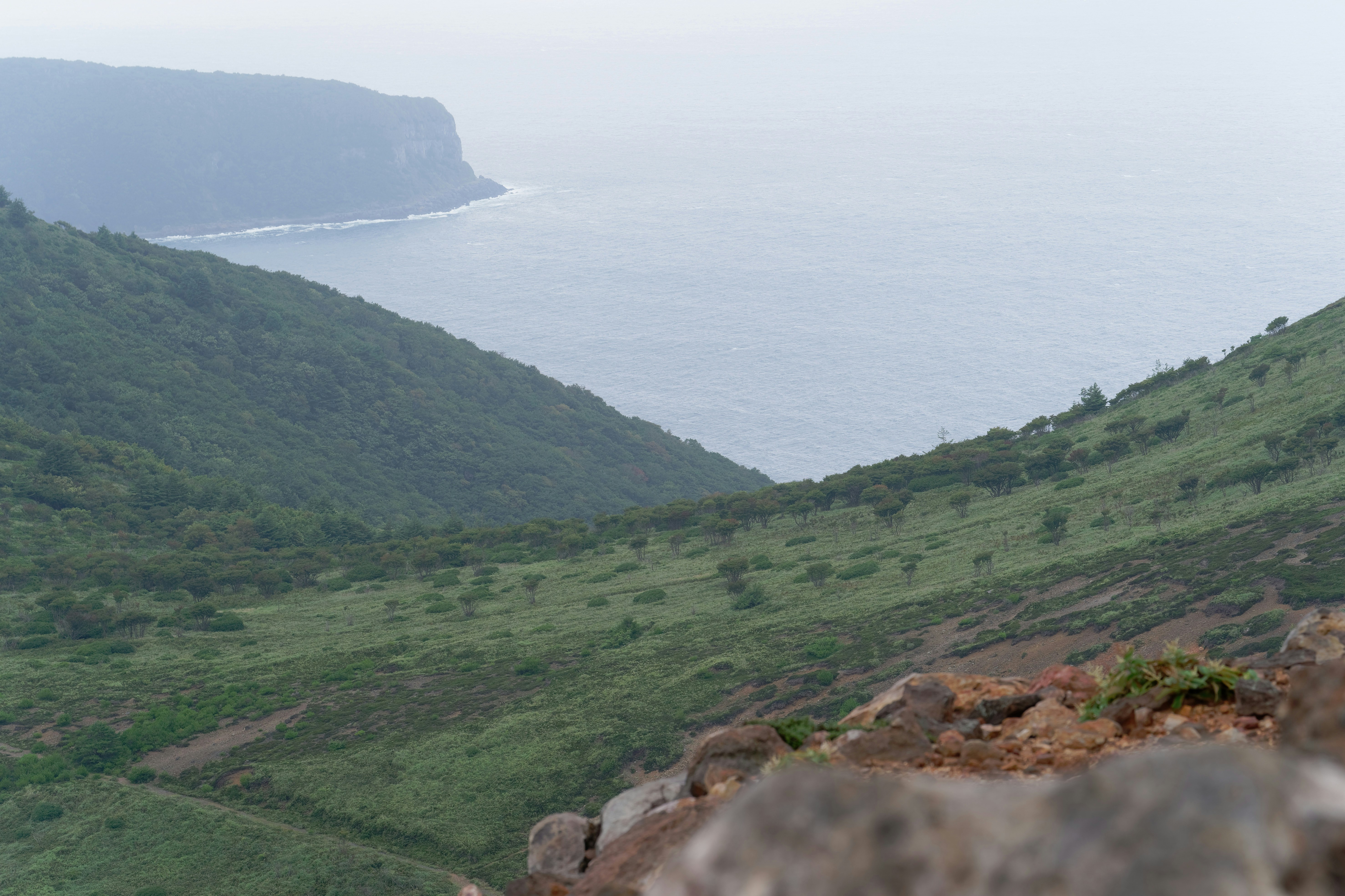 Coastal Basin Vista: Green Slopes Meeting the Sea