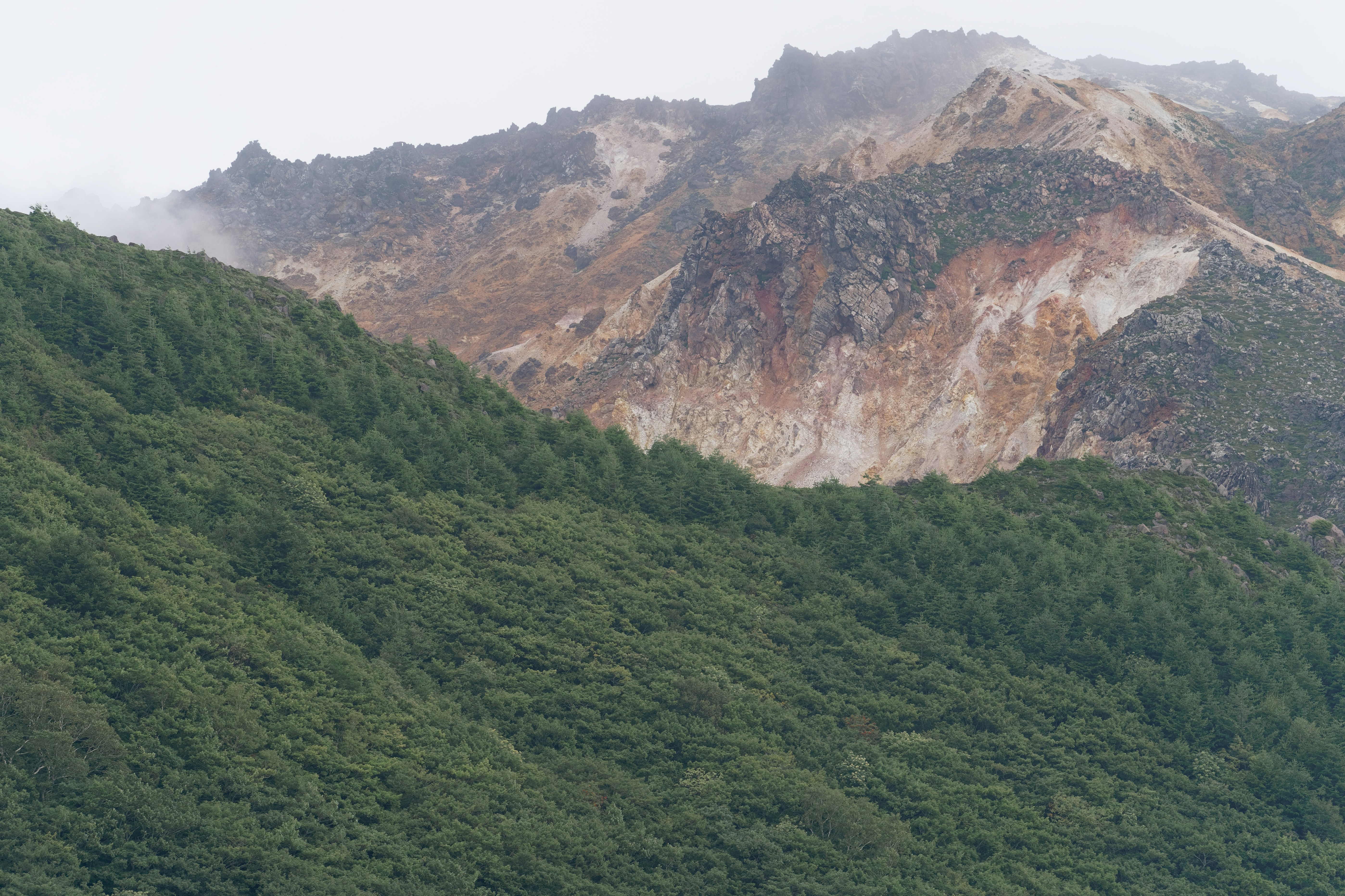 Forested Foot of Rugged Peaks