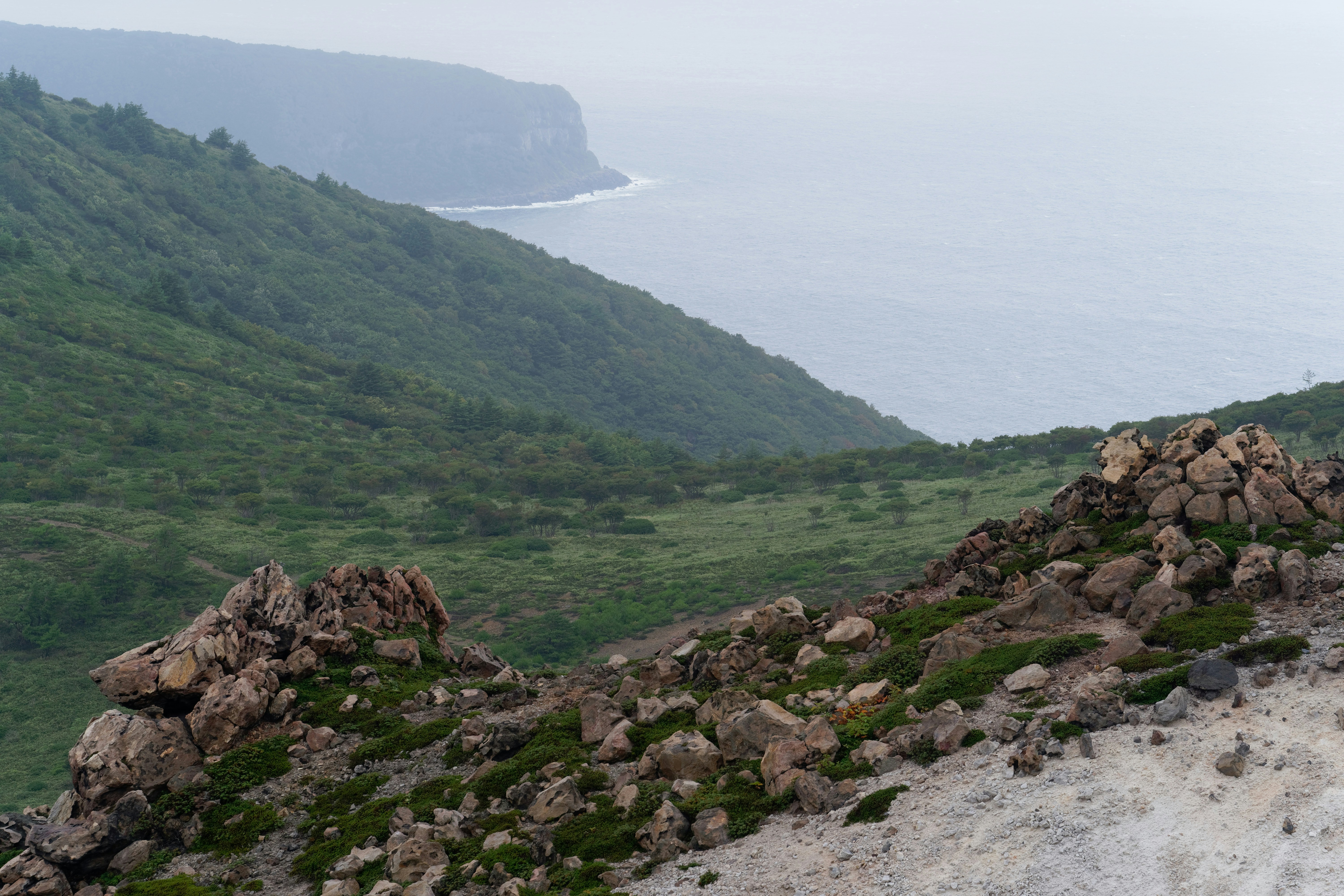 Rocky coastal hillside with a distant cliff and calm sea on the horizon; a rugged path of stones in the foreground. This landscape photo captures a panoramic overlook with natural textures and muted greens.
