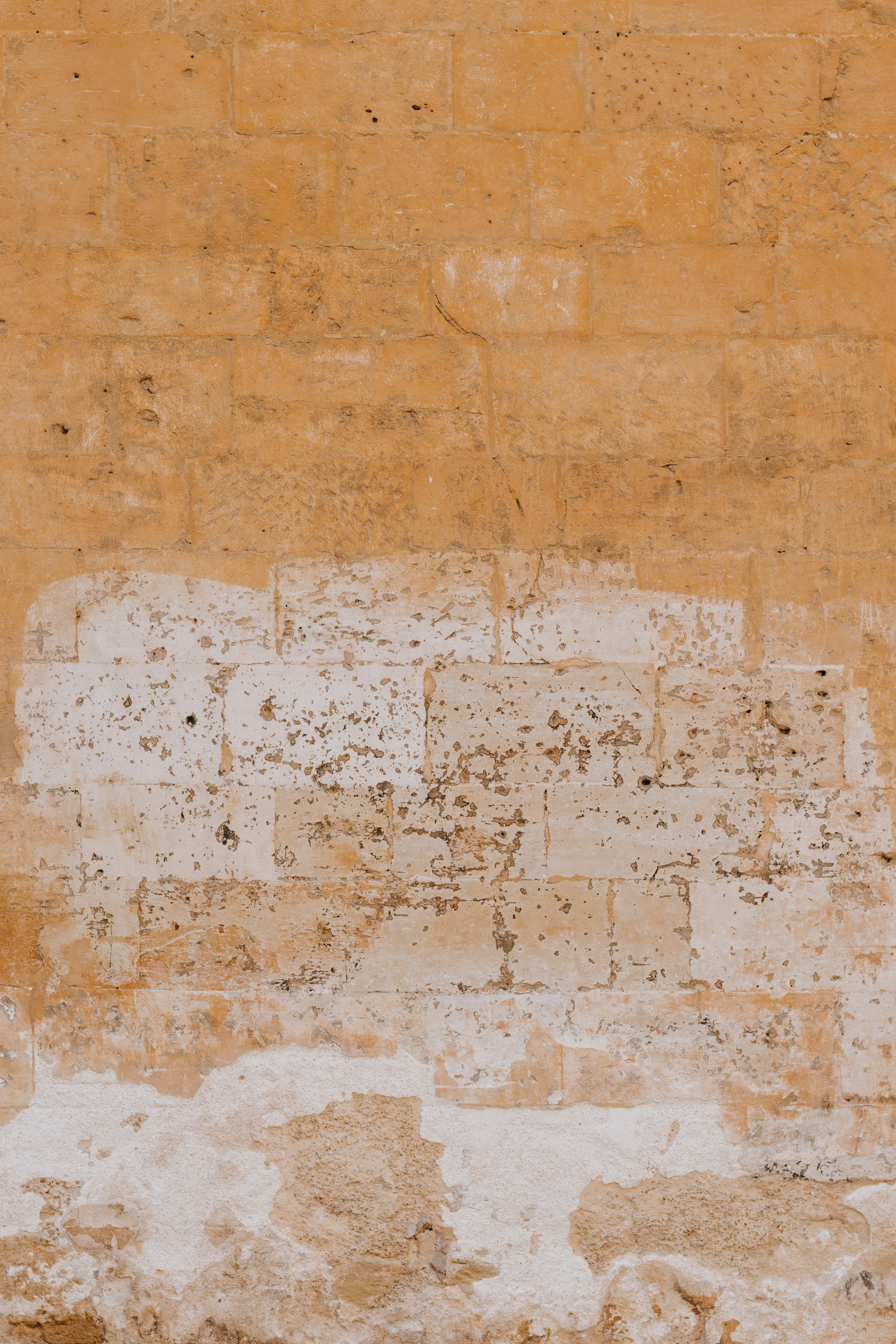 Weathered Wall: Layers of Time on Sunlit Brick