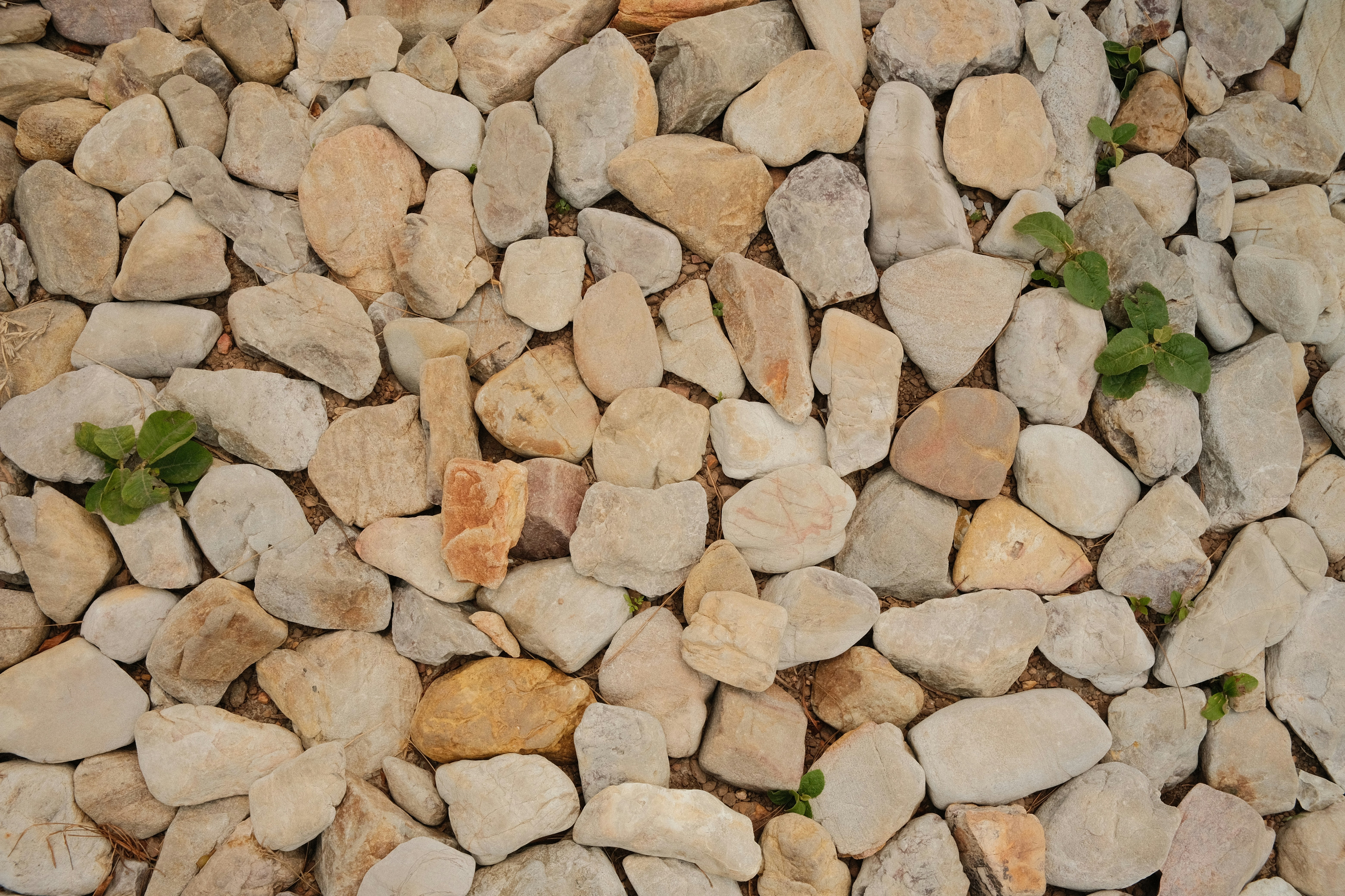 Pebble Mosaic: Softly Textured Ground Cover in Neutral Grays and Browns