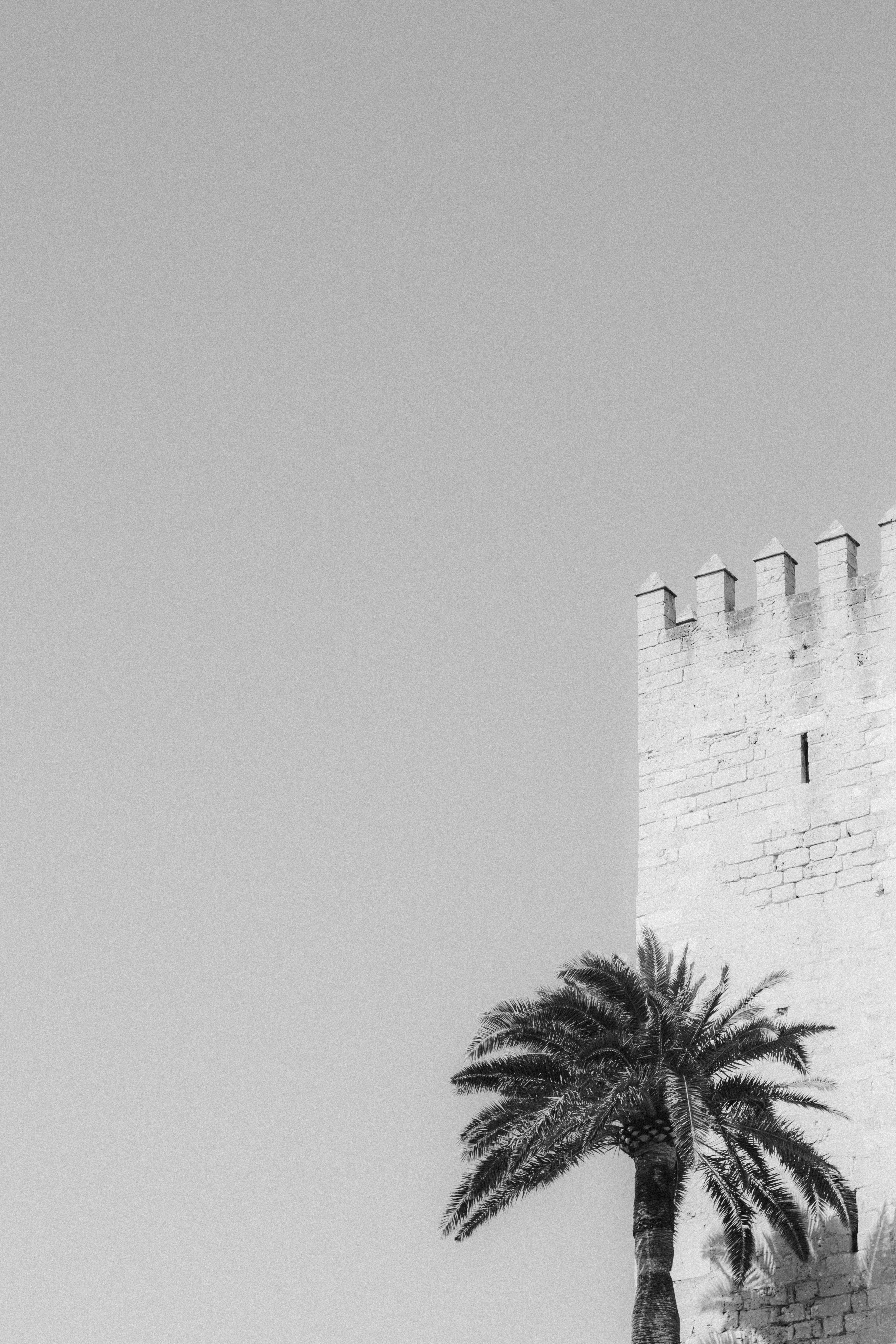 Palm and Keep: A Corner of Stone guarding the Sea