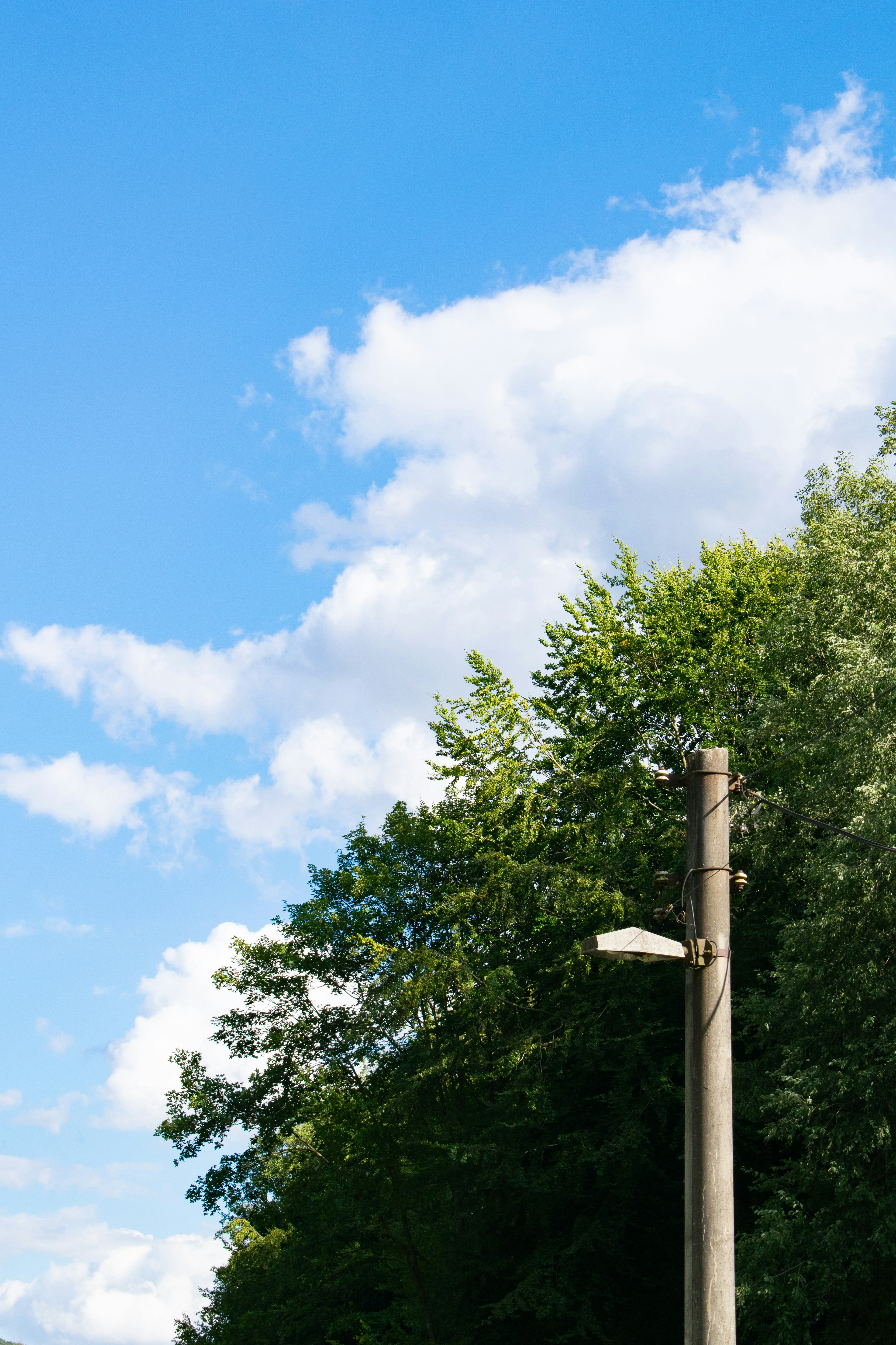 Pole and Sky: A Quiet Power of the Rural Electric