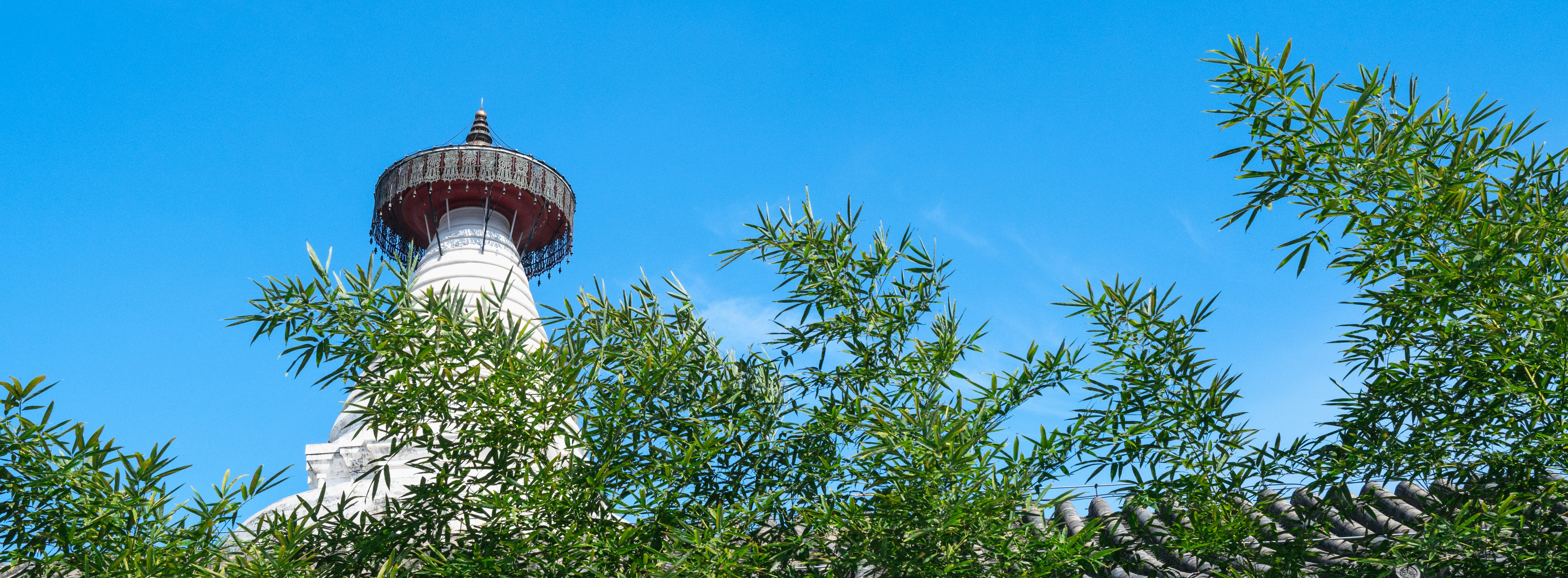 Azure Sky Sentinel: A Lighthouse Peeking Through Cradling Foliage