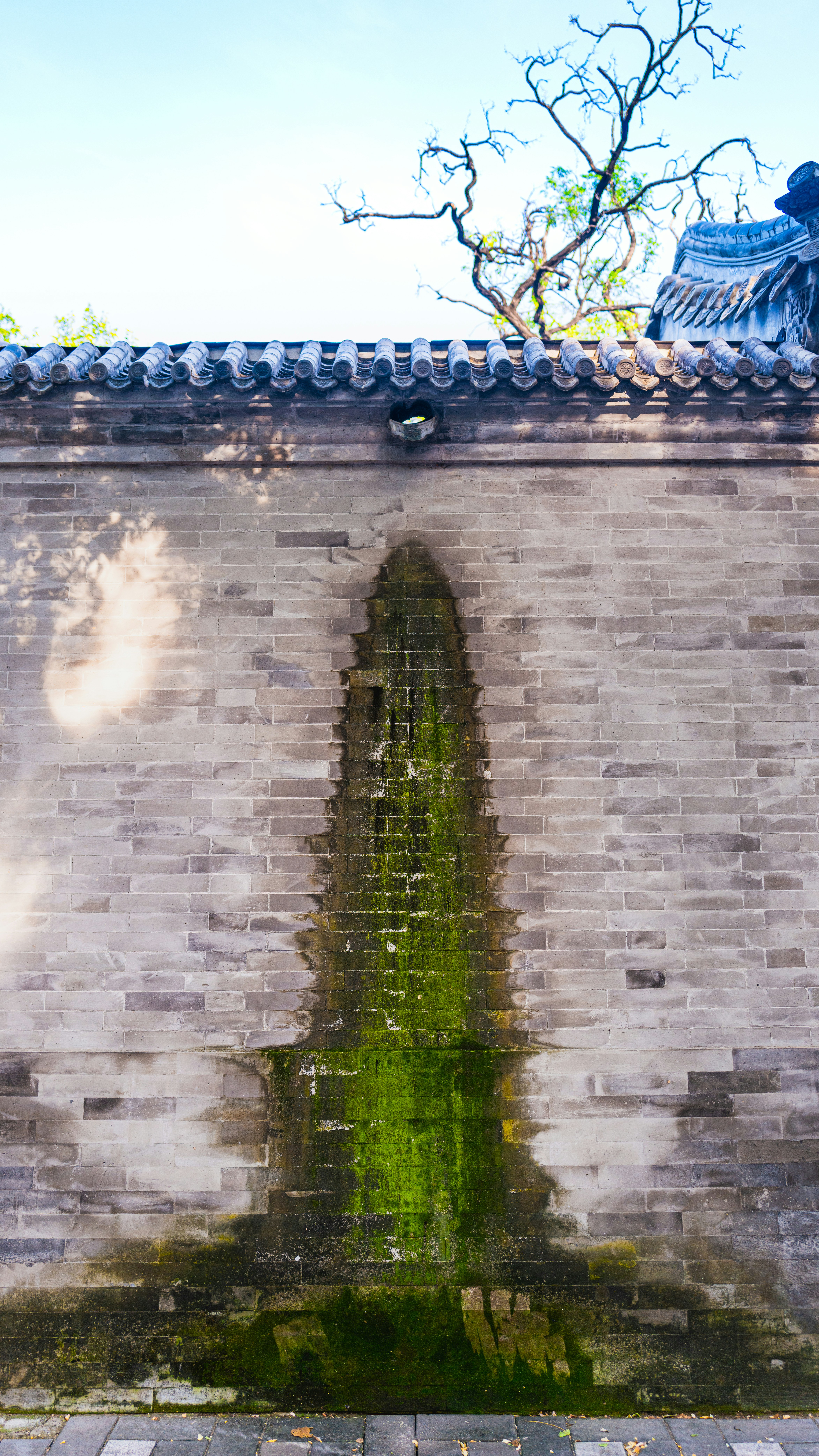 Mossy Channel Carved in Grey Brick: Silent Vertical Wall of Time