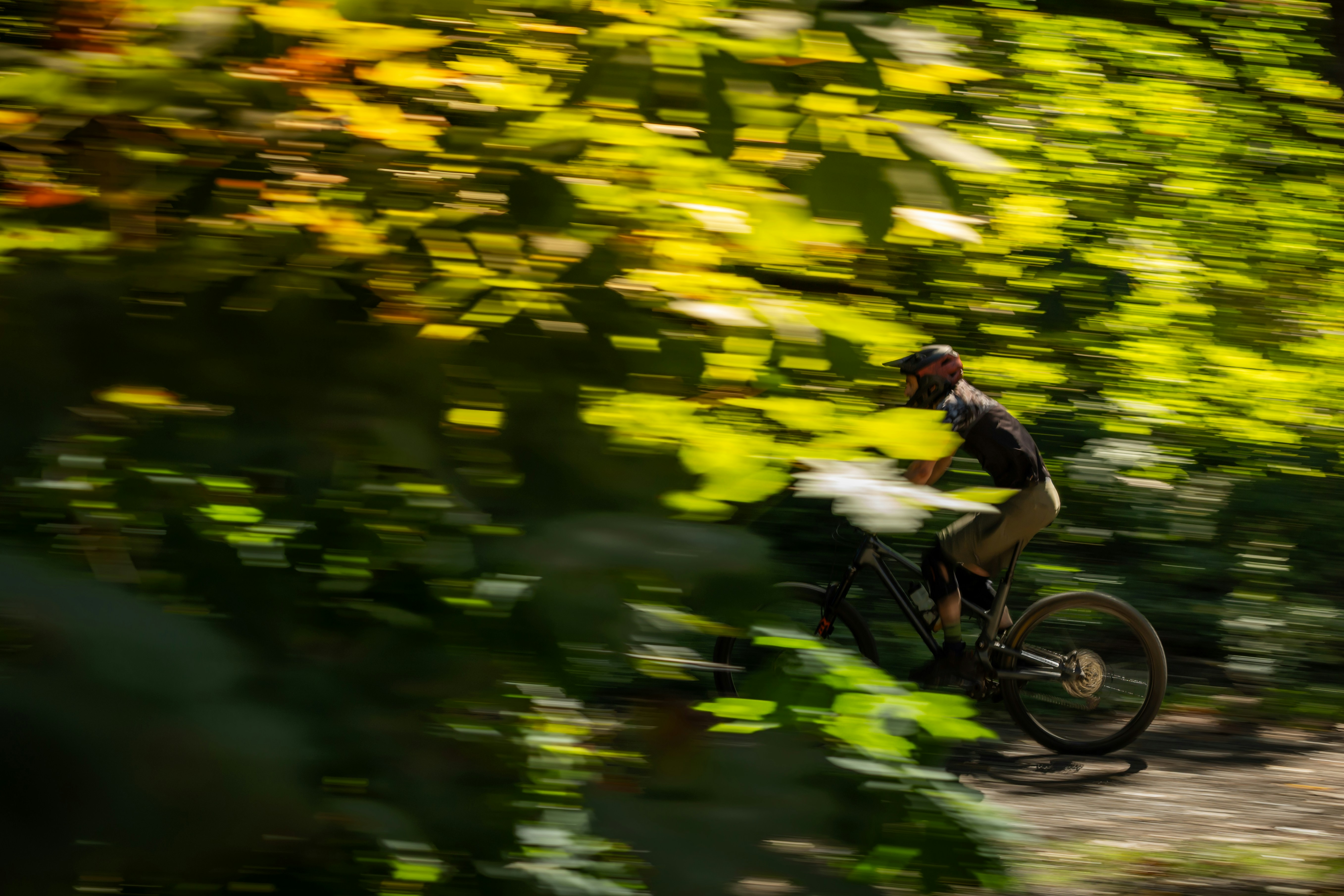 A cyclist speeds through a sunlit, leafy trail, captured with motion blur that emphasizes motion and surrounding greenery.