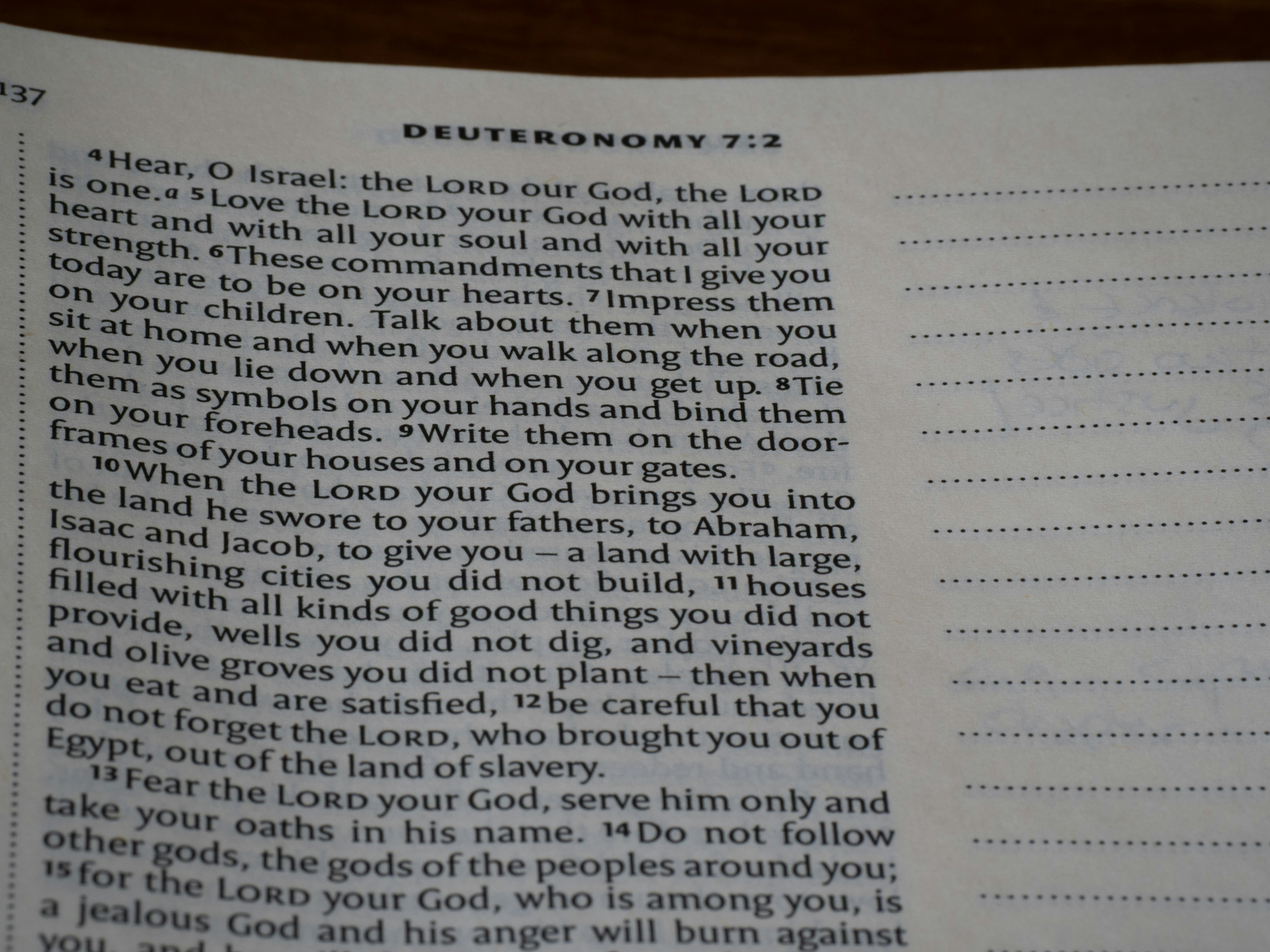 Open Page, Quiet Reverence: A Psalm in Focus