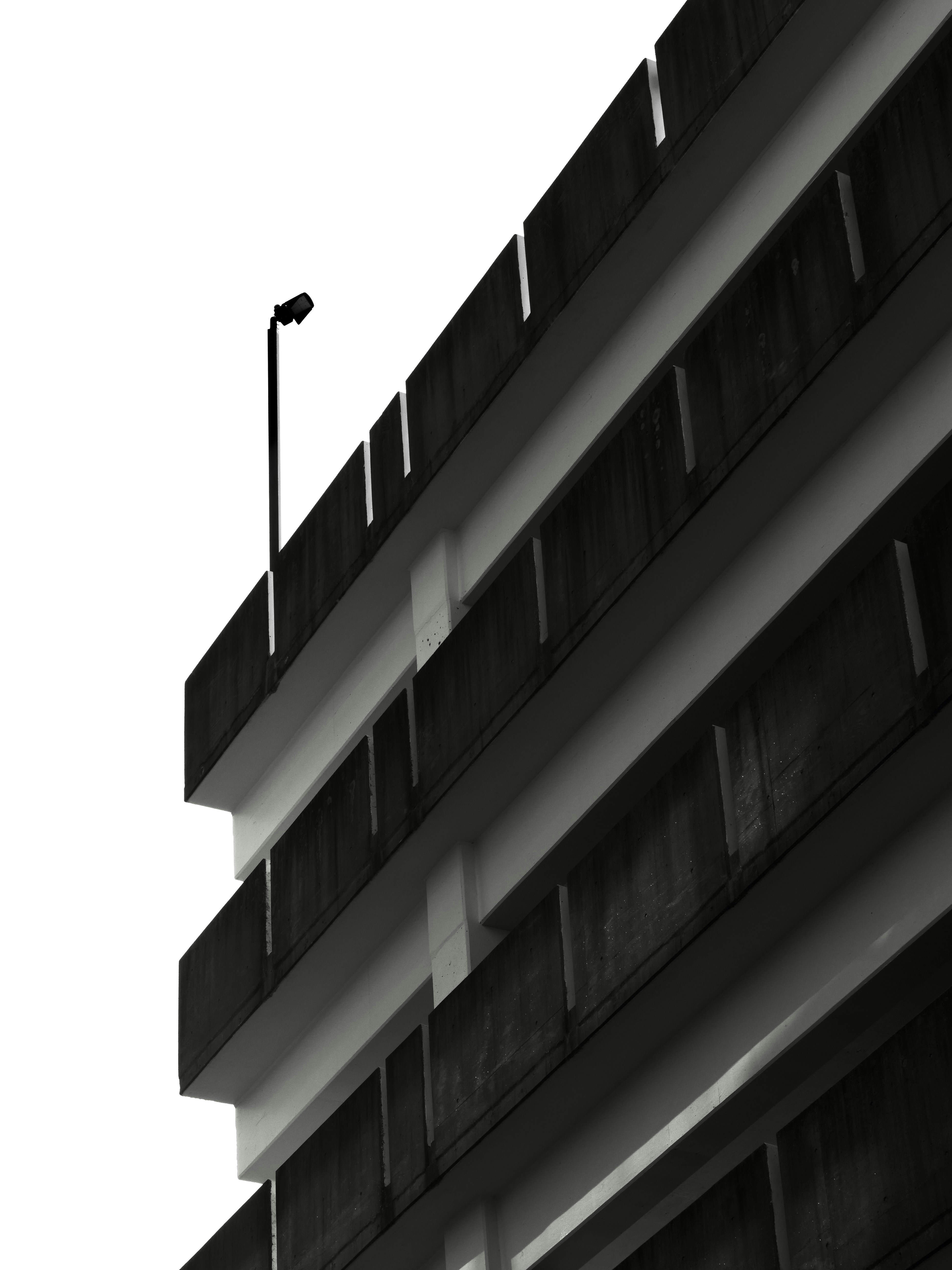 Monochrome Elevation: A Vertical take on Brutalist Form