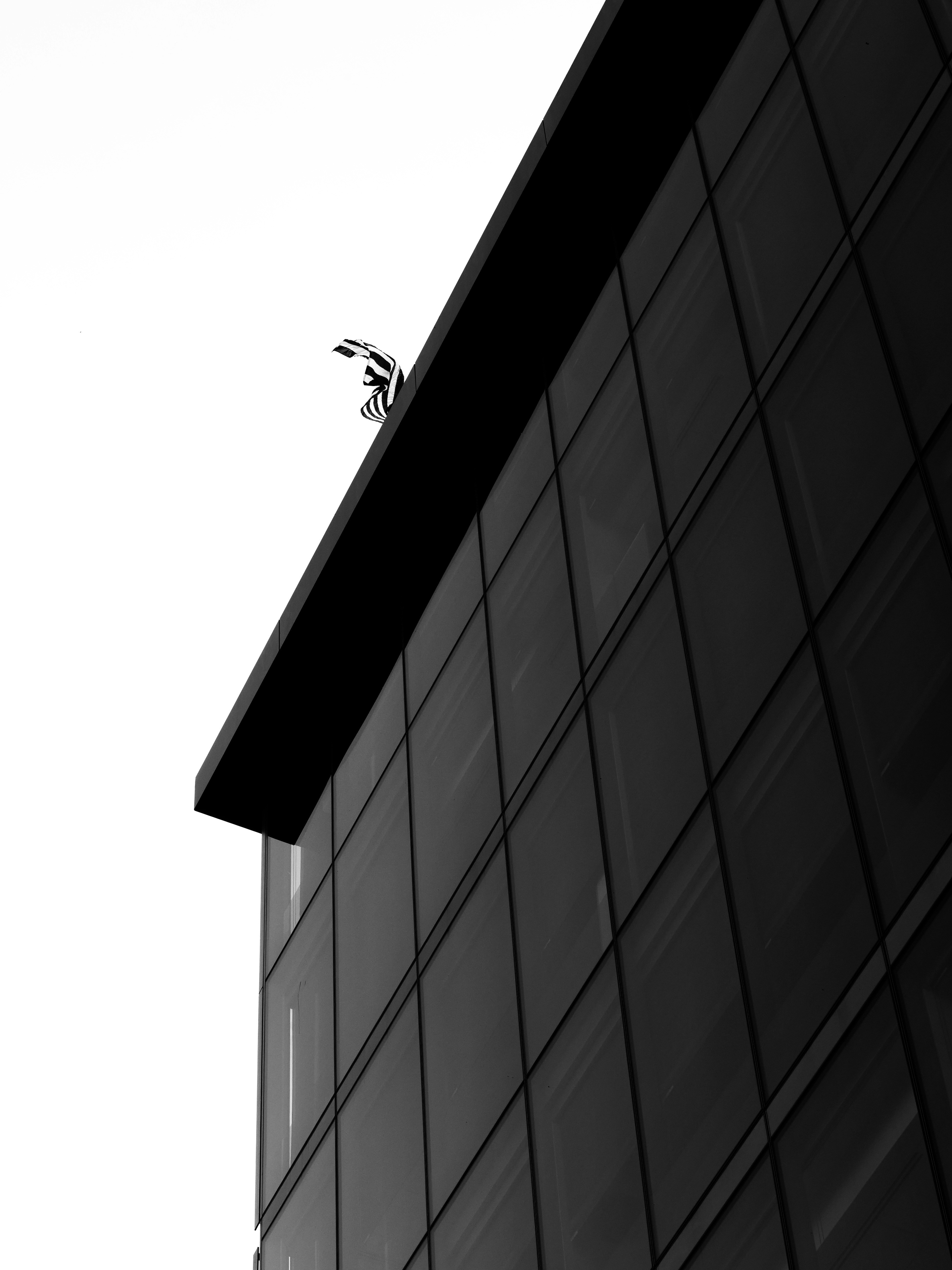 Kite on the Edge: A Silent Figure on a Modern Facade