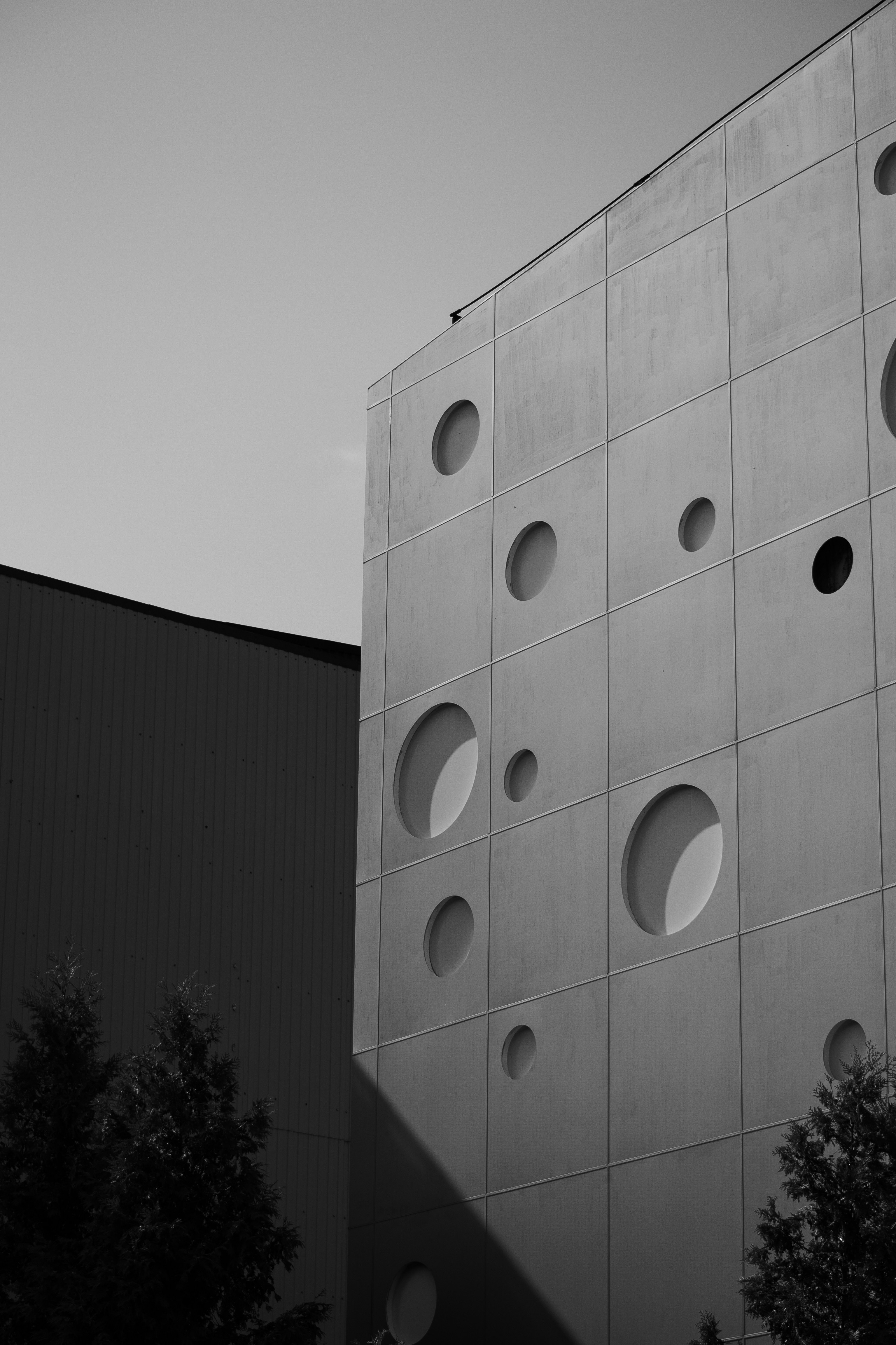 Monochrome urban detail featuring a grid of circular recesses on a modern concrete wall, with strong diagonal shadow and partial dark foreground vegetation.