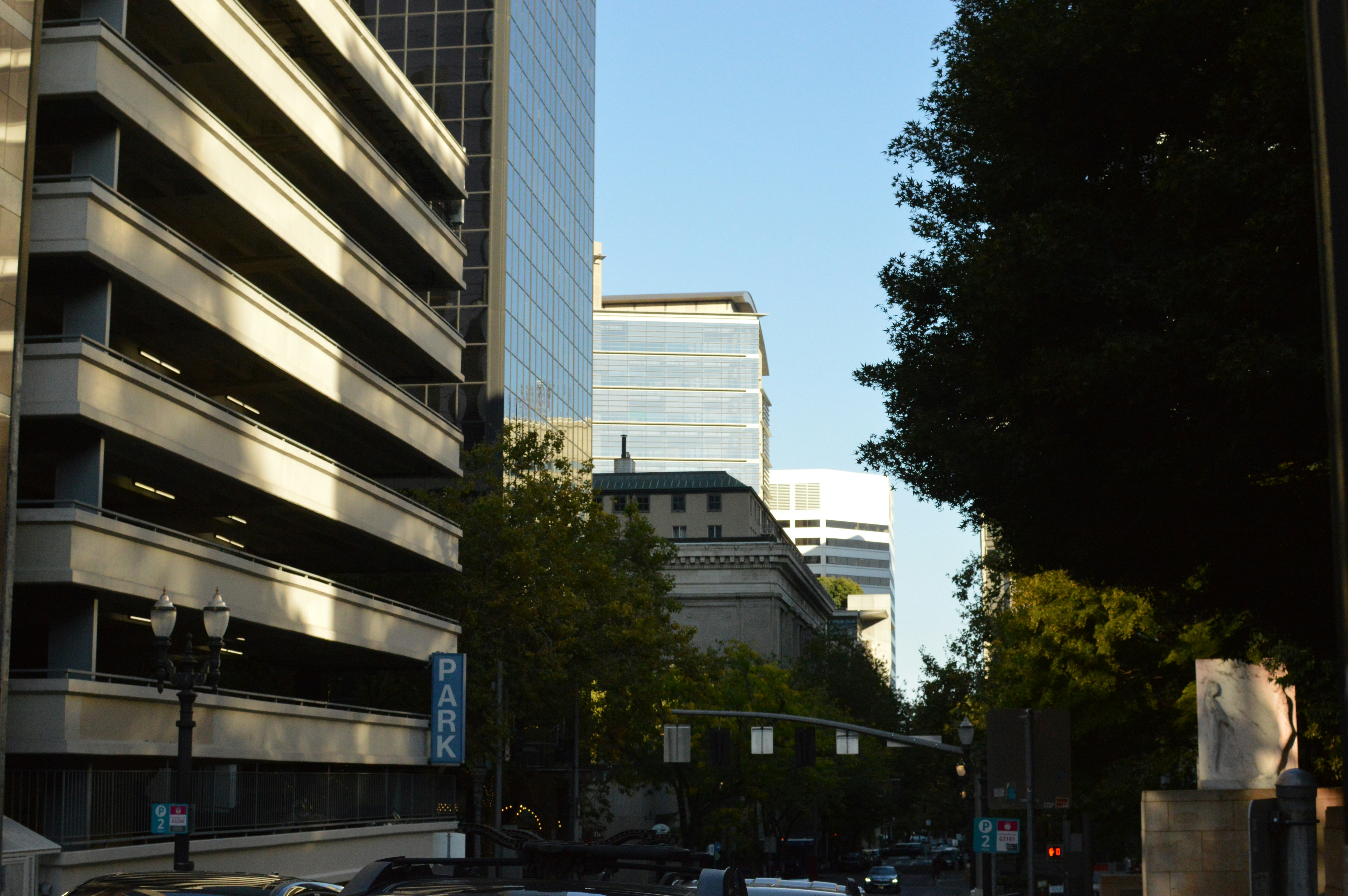Urban Canyon: Light Strikes Between Glass and Shadow