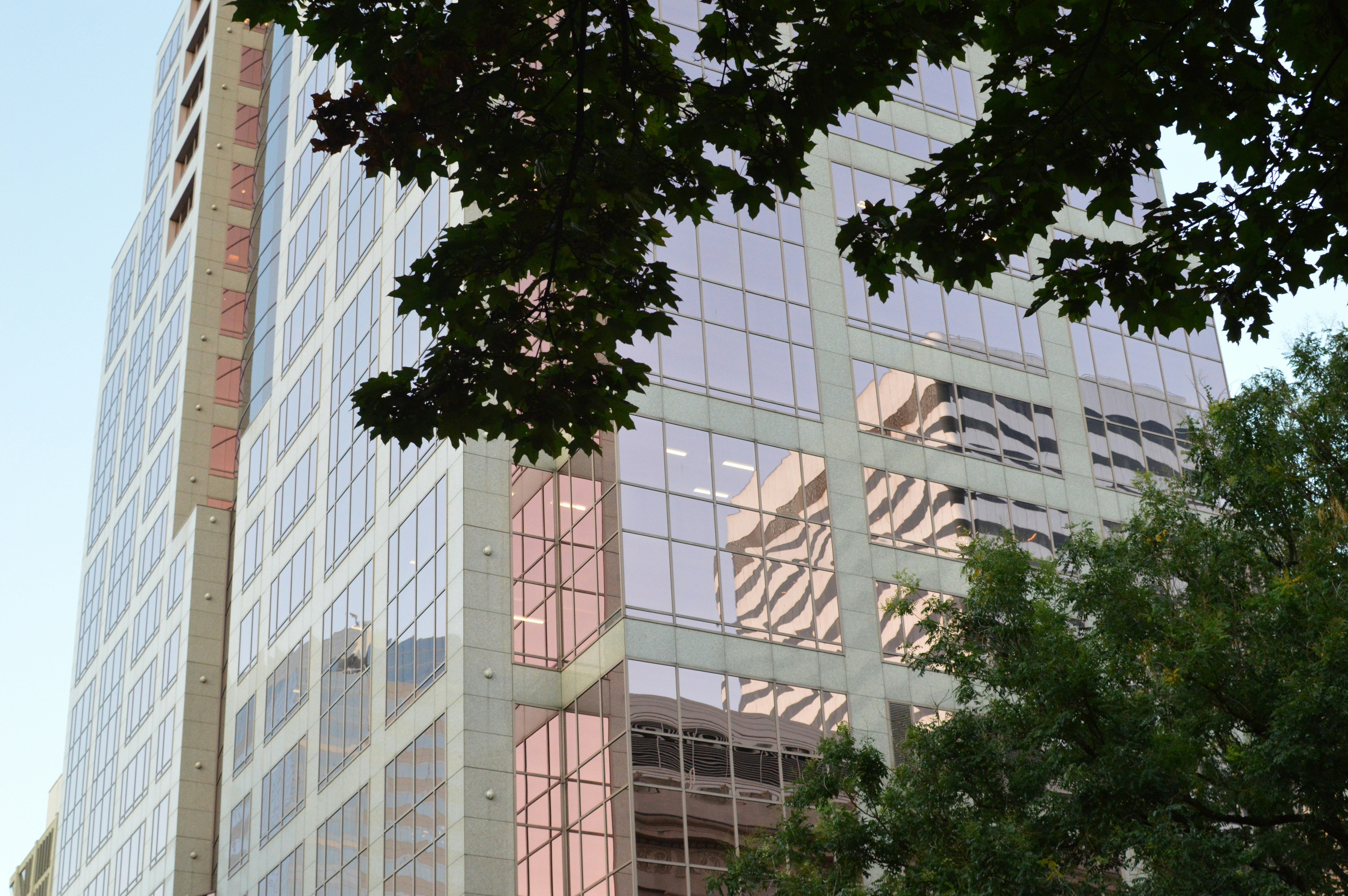 Glass Facade Echoes: A Towering Mesh of Reflections