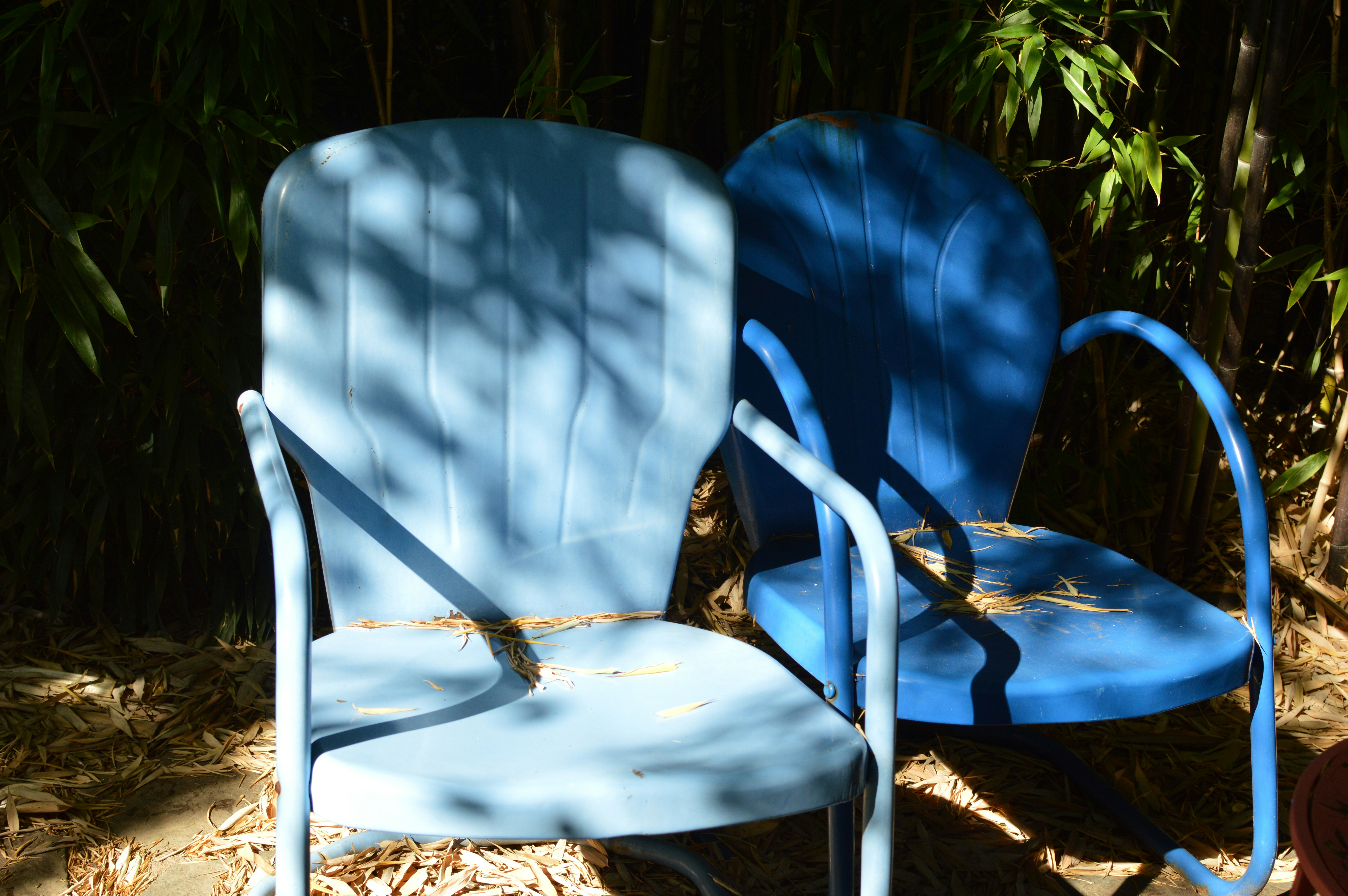 Sunlit Duo: A Quiet Moment Between Blue Chairs