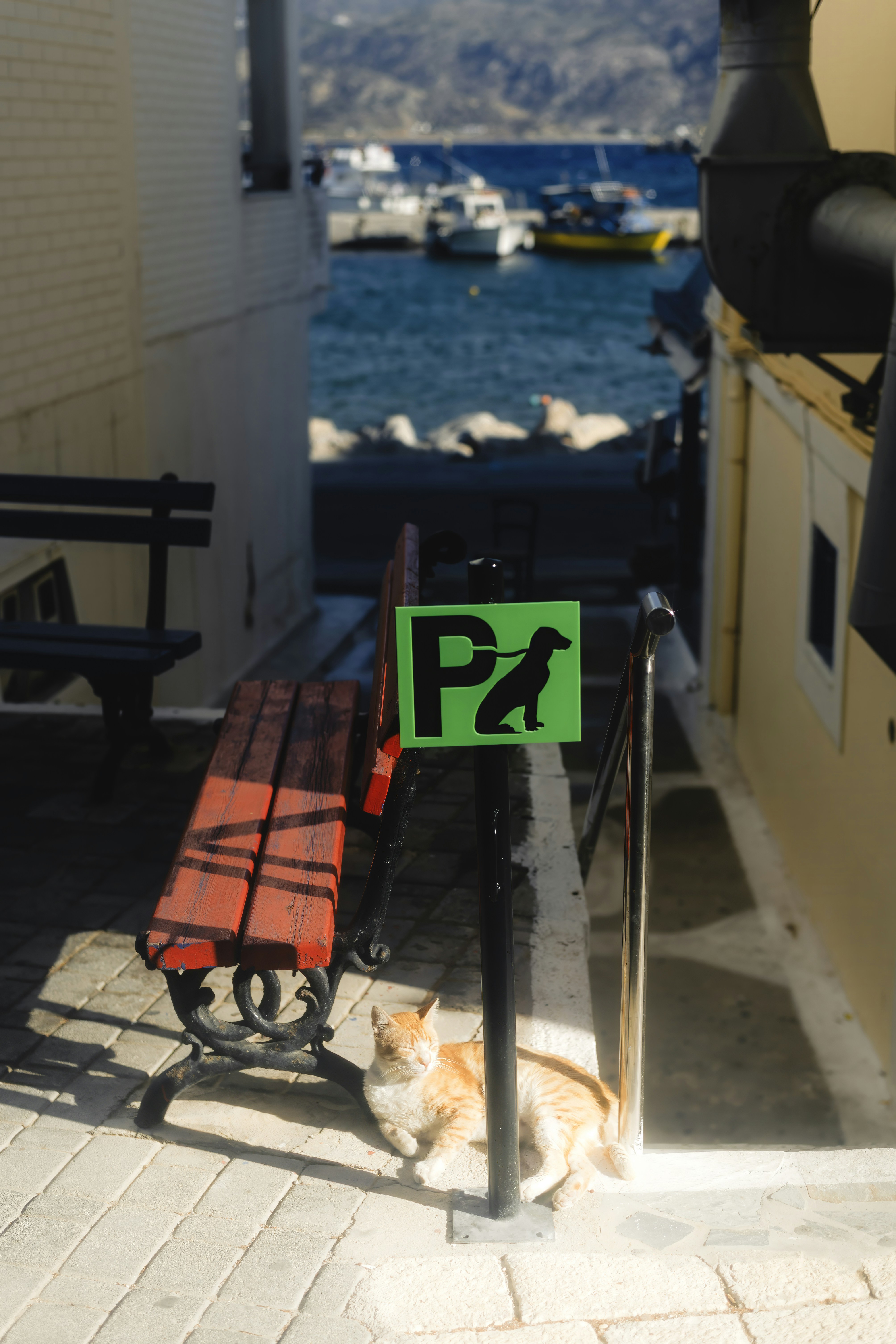 Golden Cat at the Quay Gate