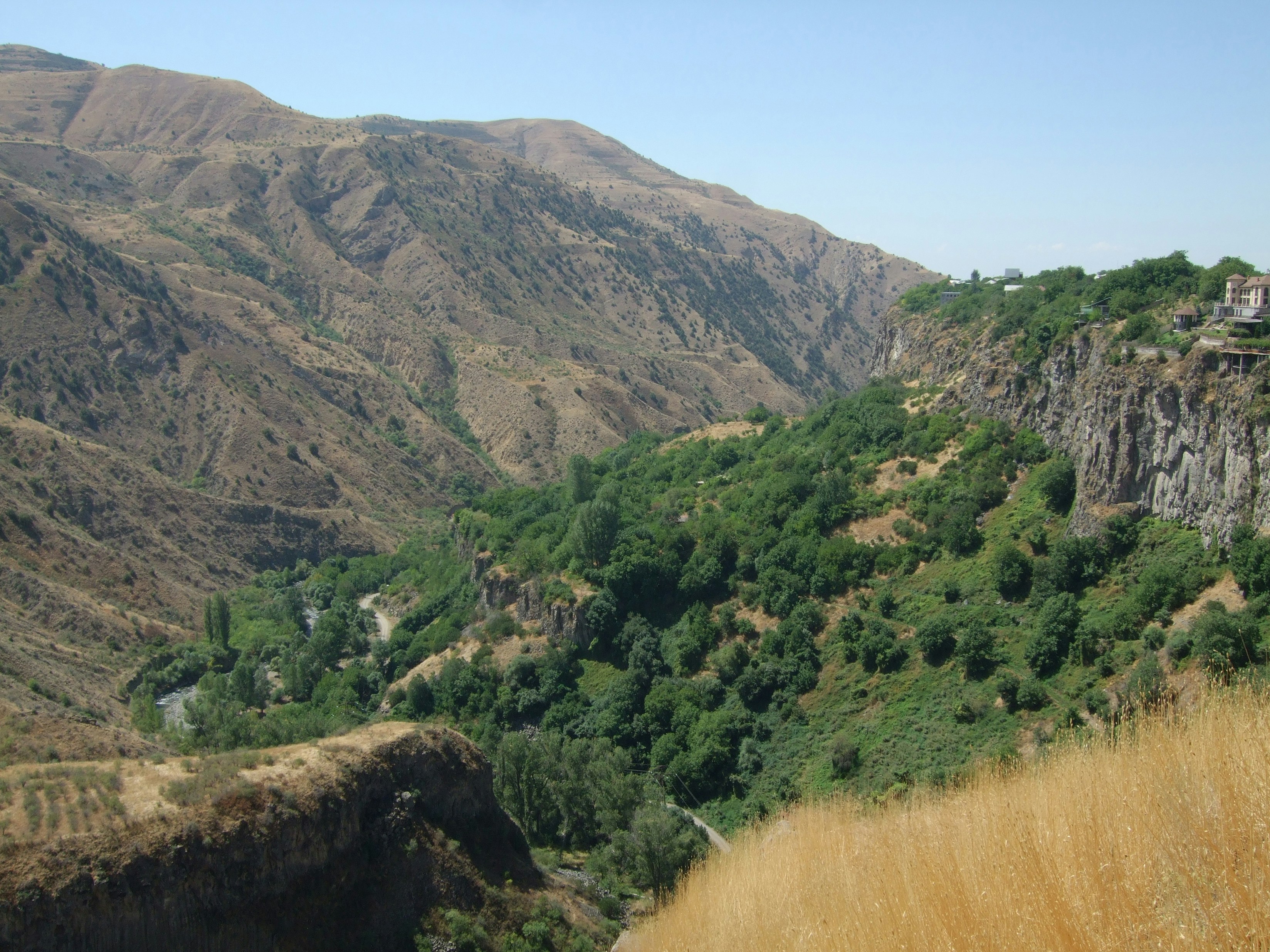 A deep canyon with a lush green forest floor and steep arid slopes