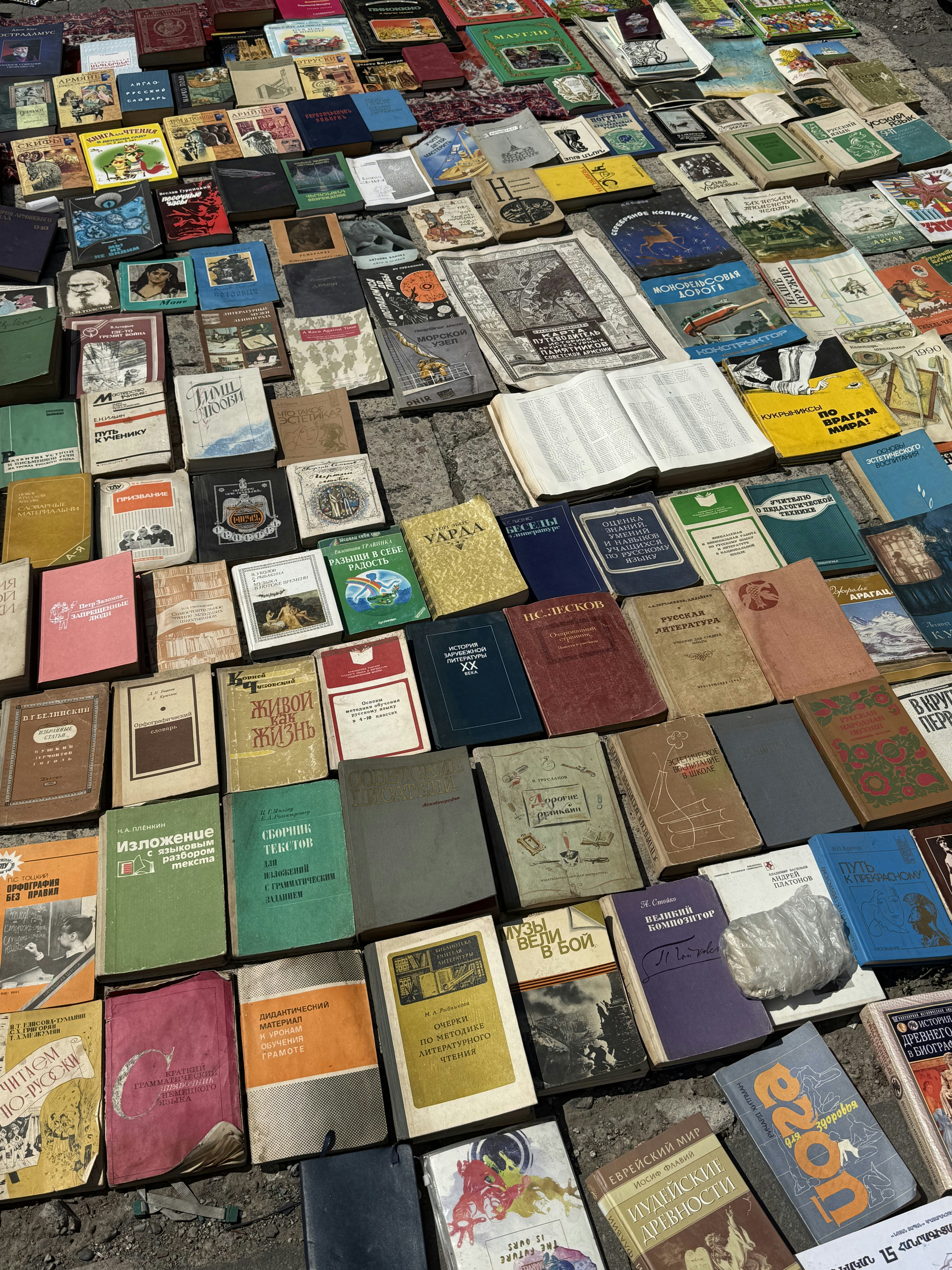 Street Library: A Rainbow of Paperback Rows Spread Across the Ground
