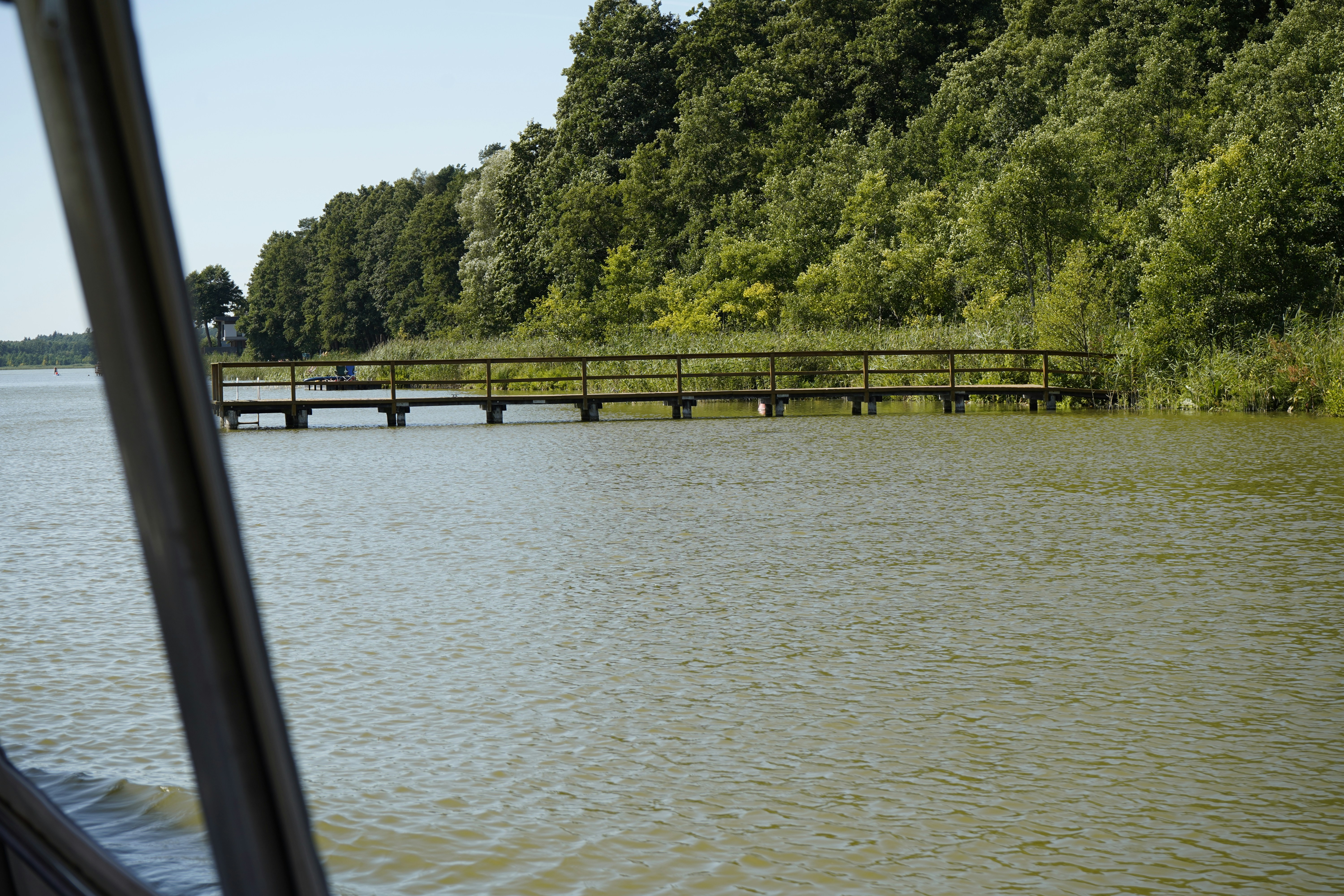 Waterbound Walkway: A Serene Lake Vista Framed by Trees