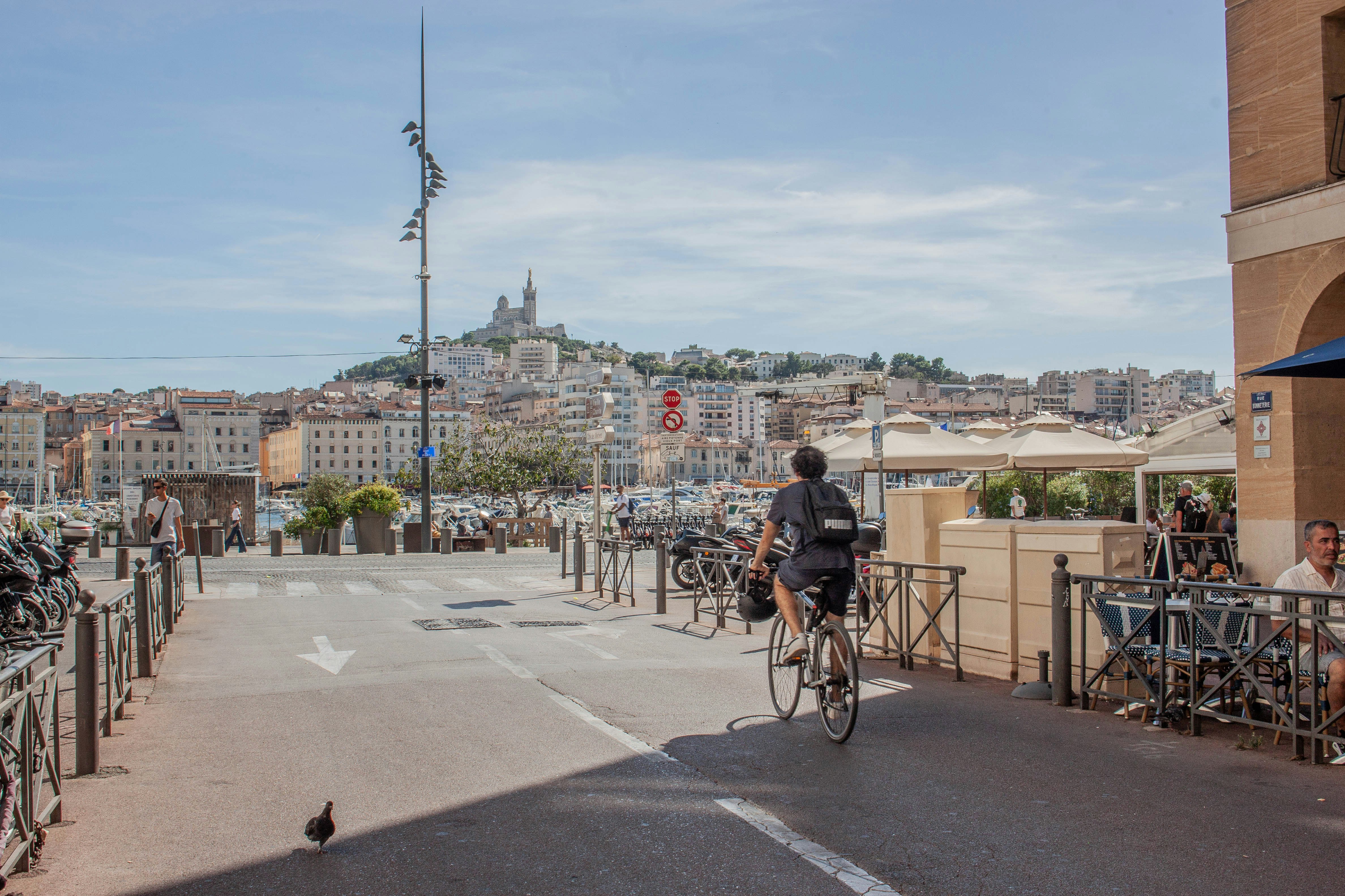 Rider in the Coastal Promenade: A Quiet Moment Amid City Flourish