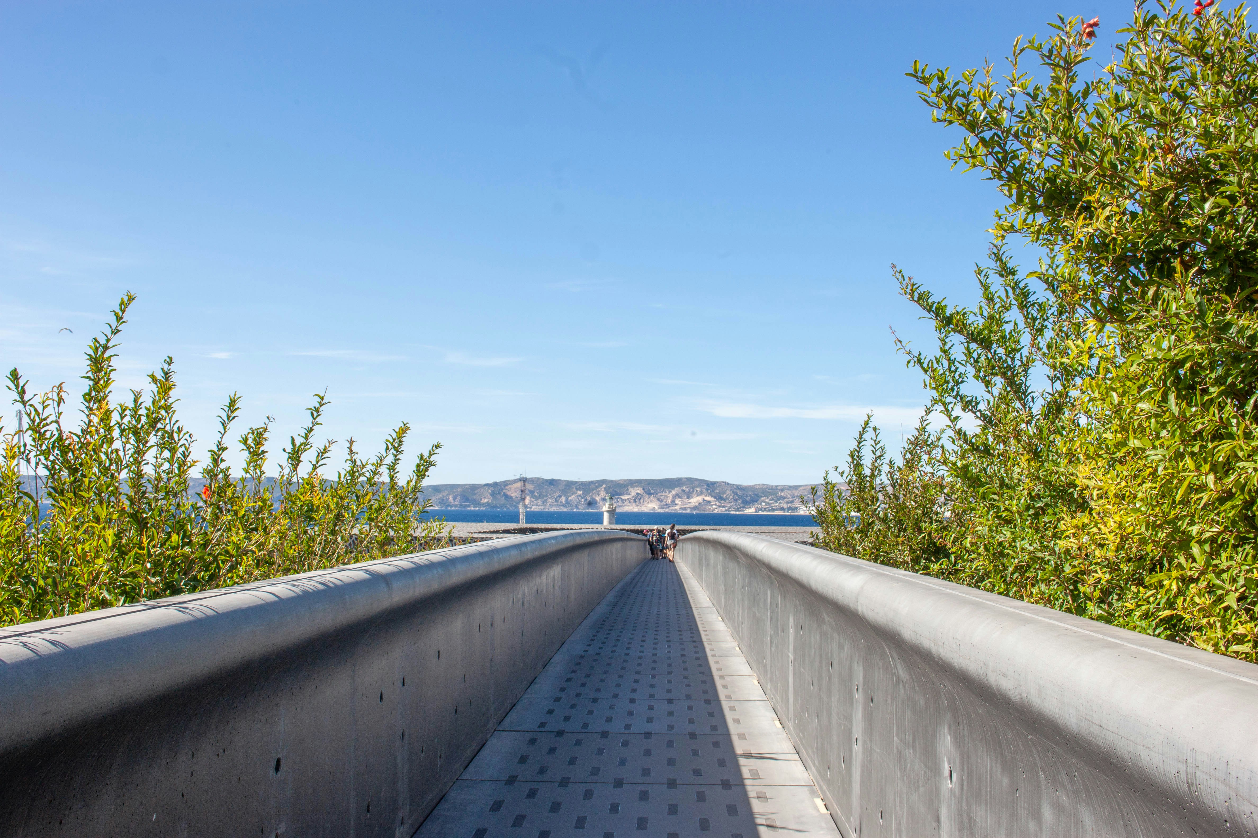 Midday Axis: Concrete Channel Toward the Open Water