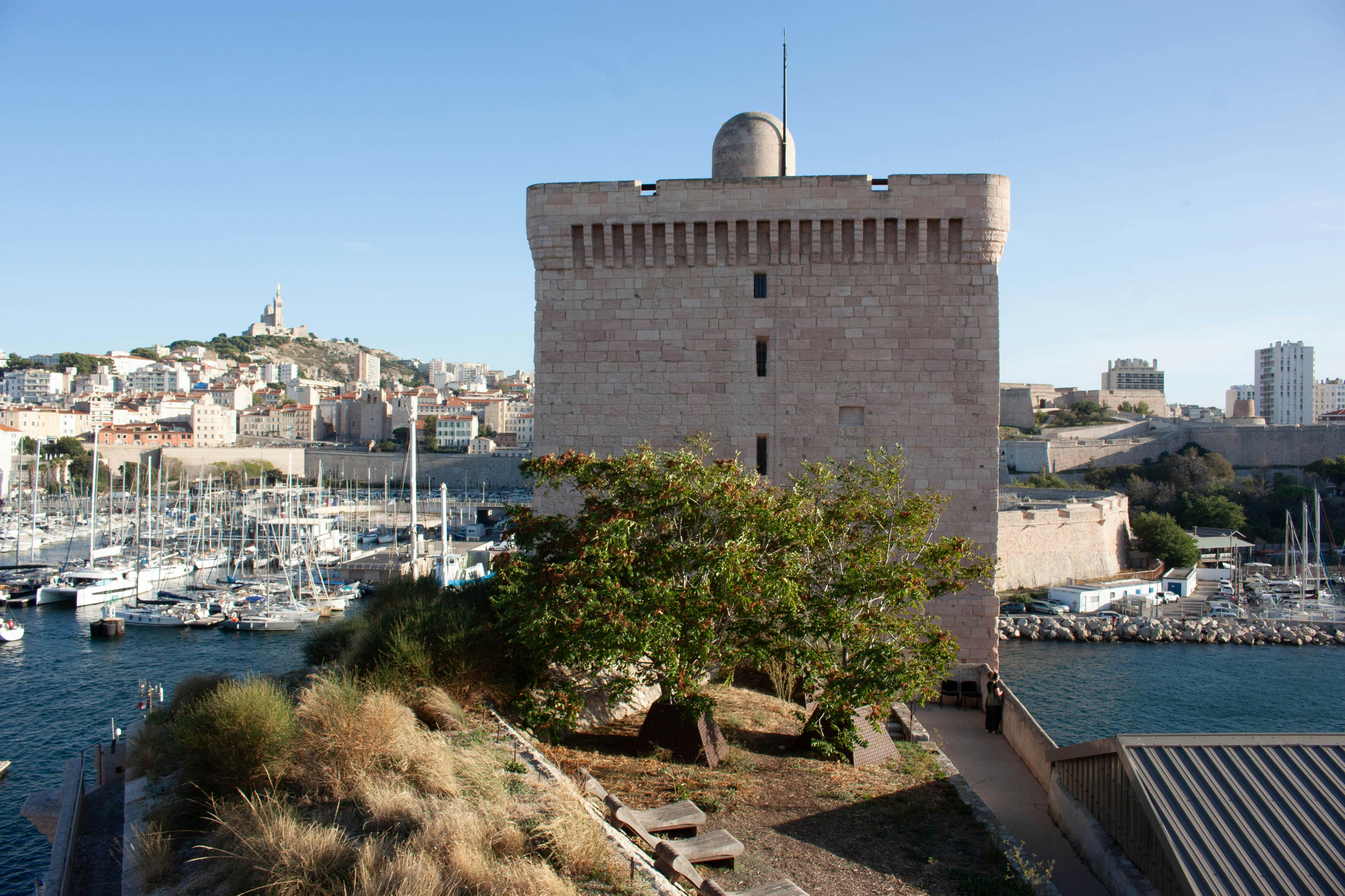 Harbor Gate Overlook: A Solitary Tower Framing the Marina