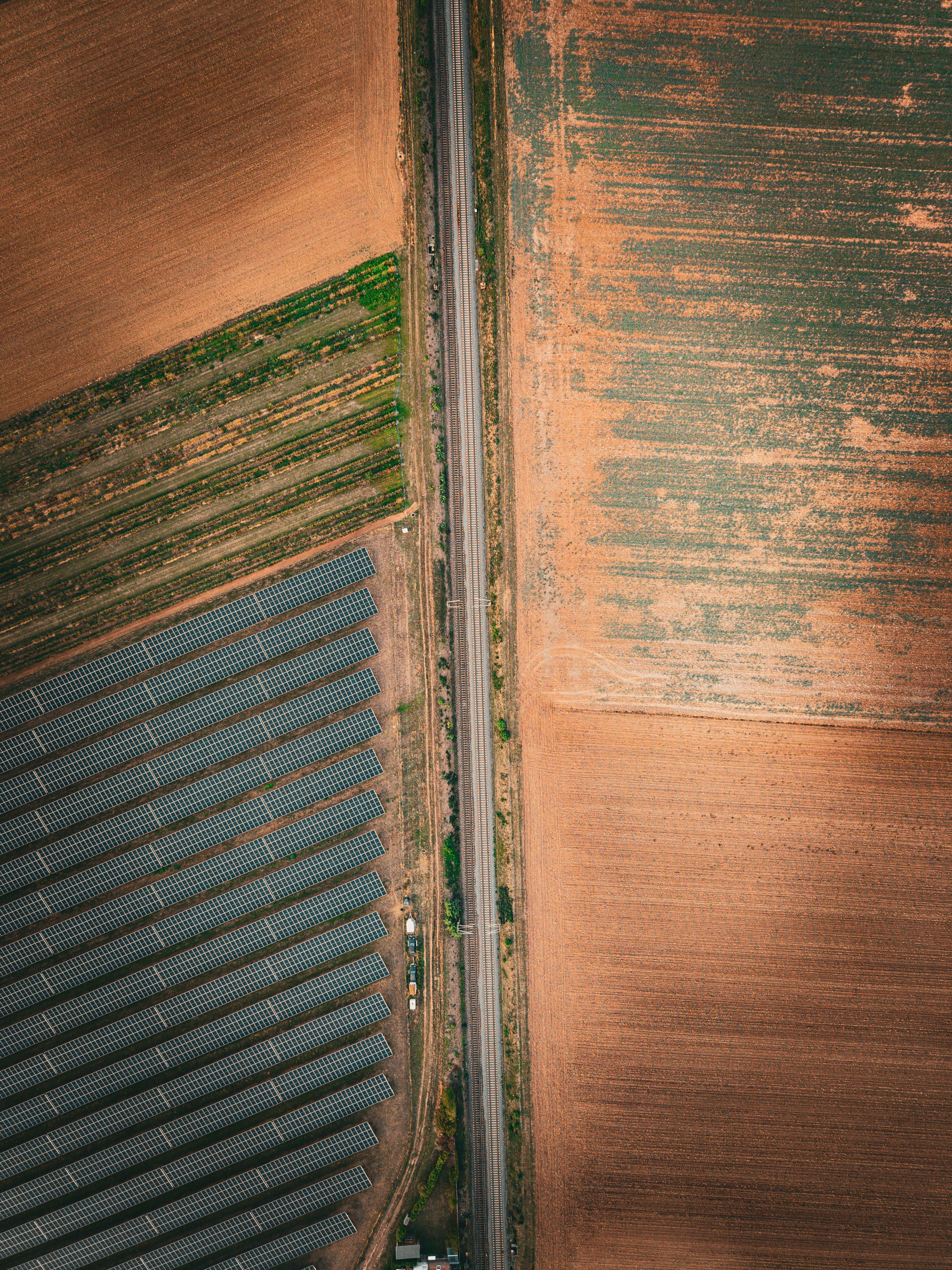 Uniform Rows and a Central Road: An Aerial Cross-Section of Farmland