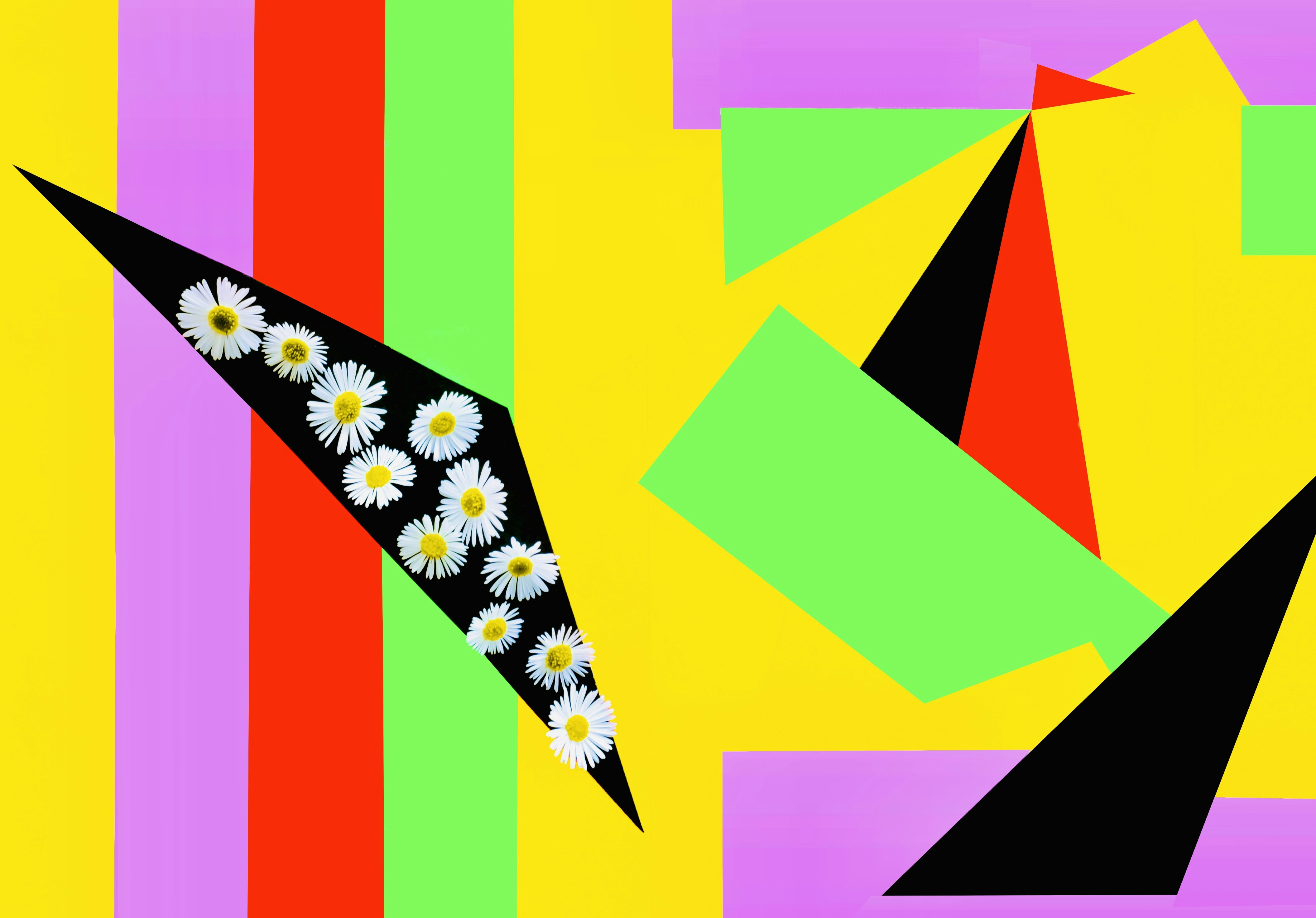 Daisy Stream in a Geometric Burst