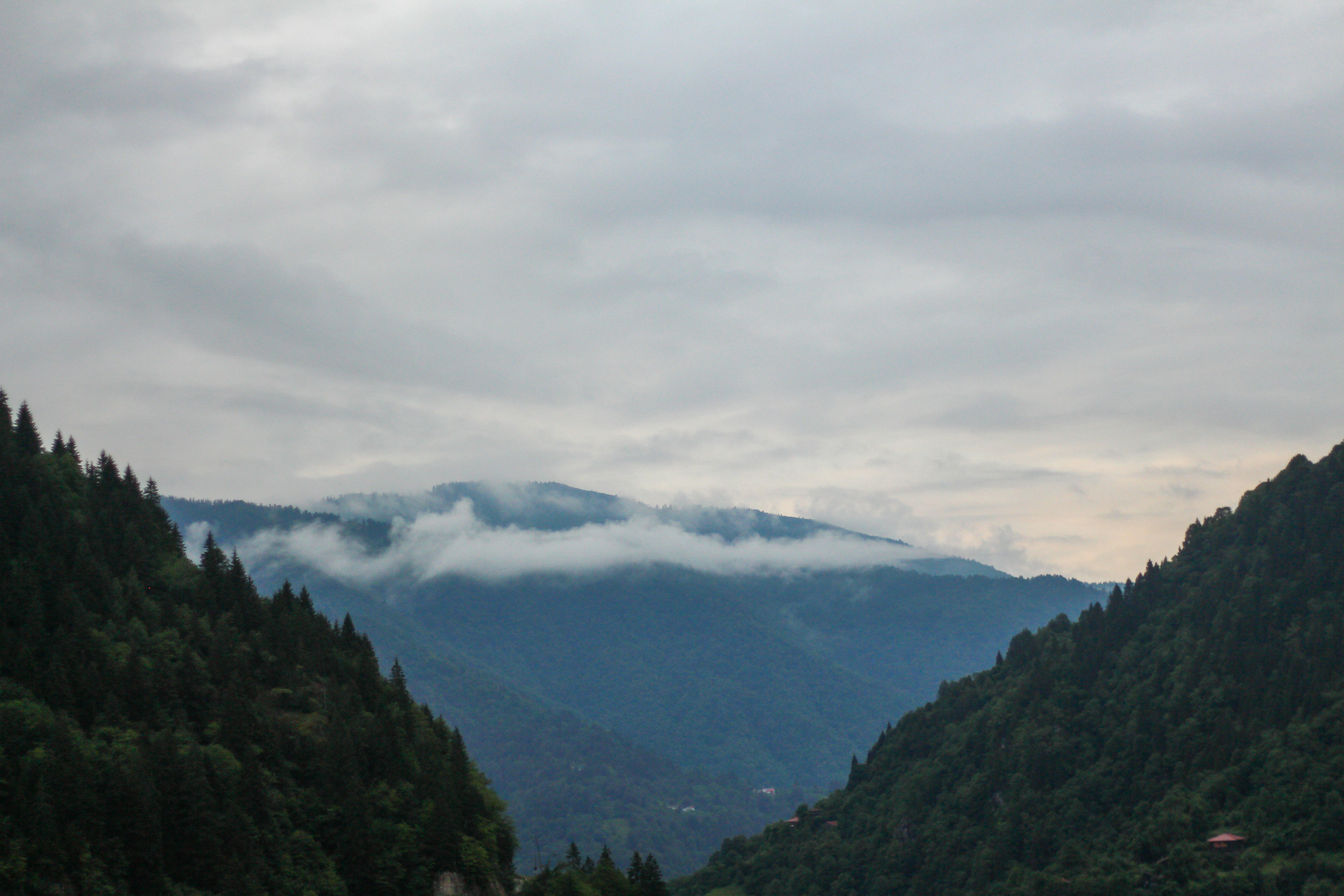 Misty Ridge Overlook