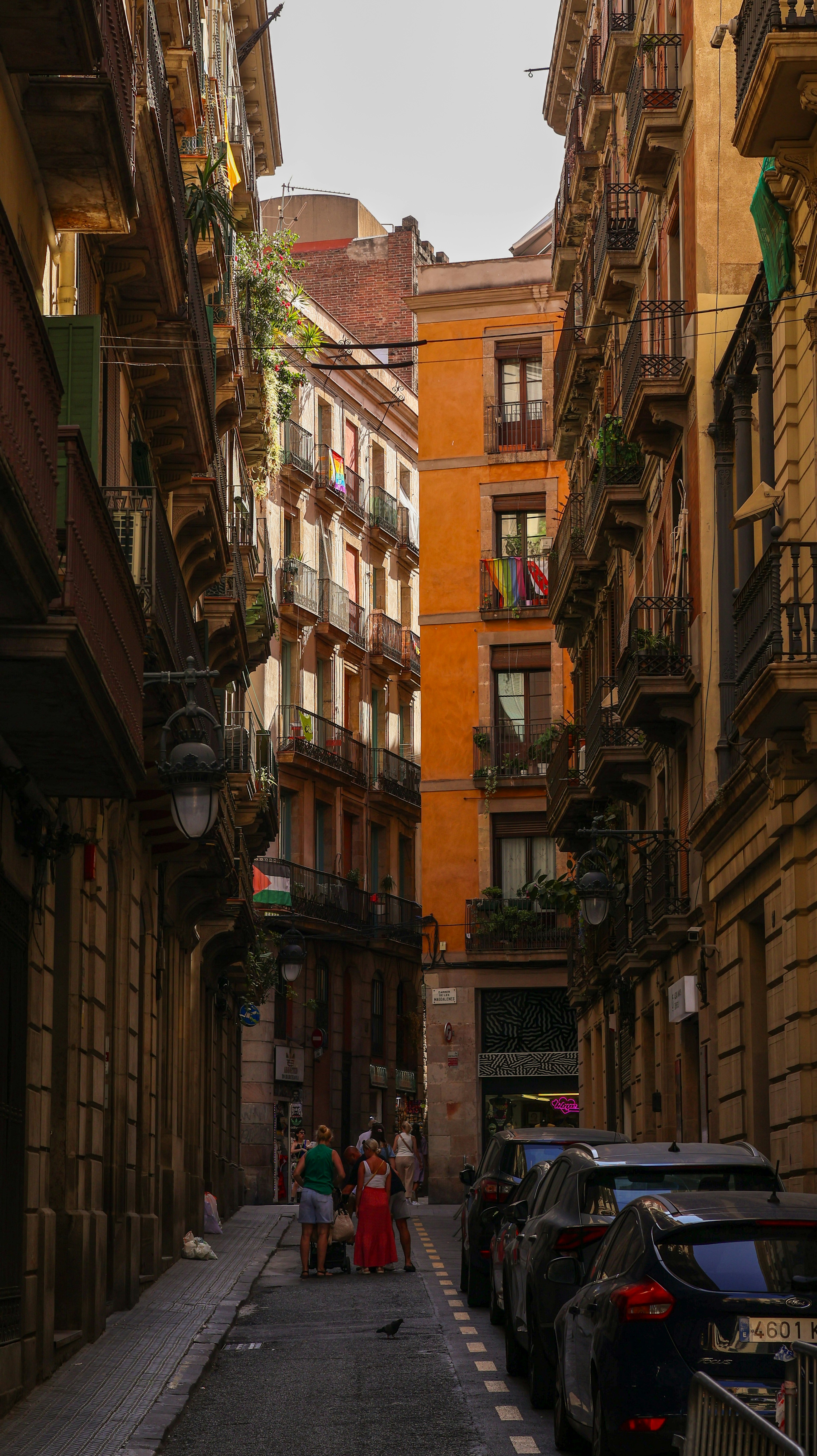 Sunlit Calle in the Warm Fade of Evening
