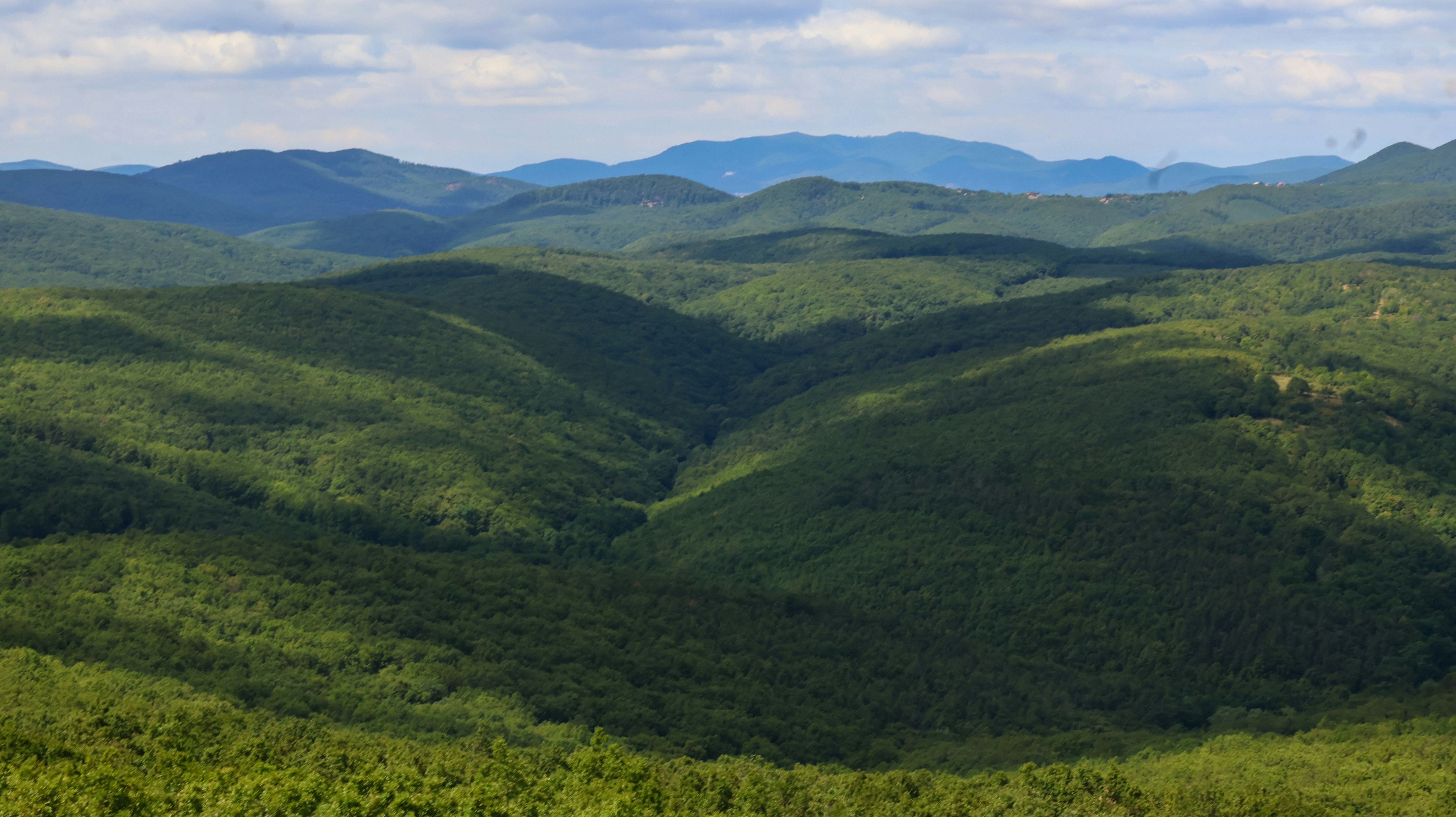 Echoes of Green Valleys: A Looming Sea of Hills