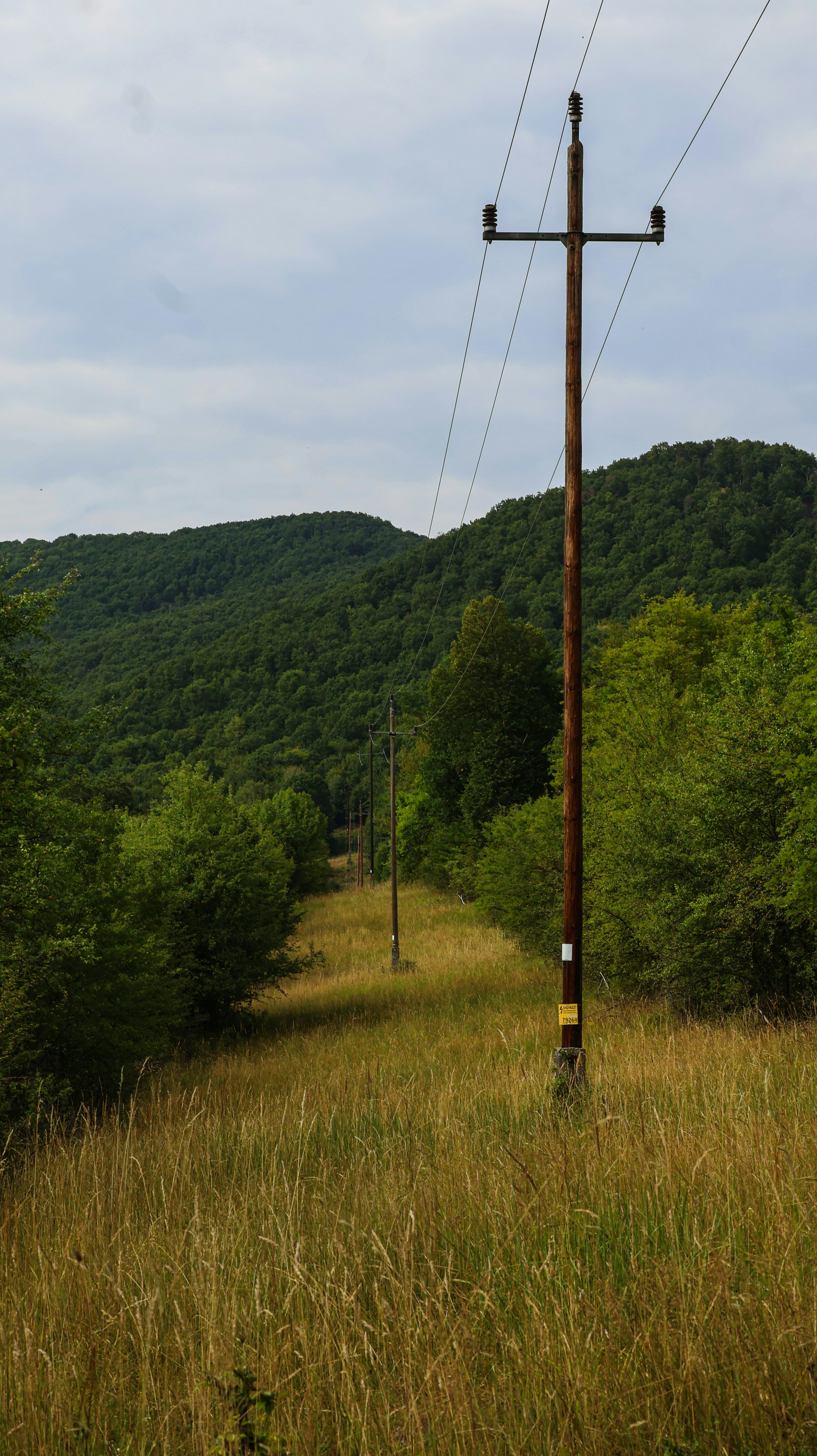 Rural Power Line Corridor: A Quiet Line of Towers Through Grassland
