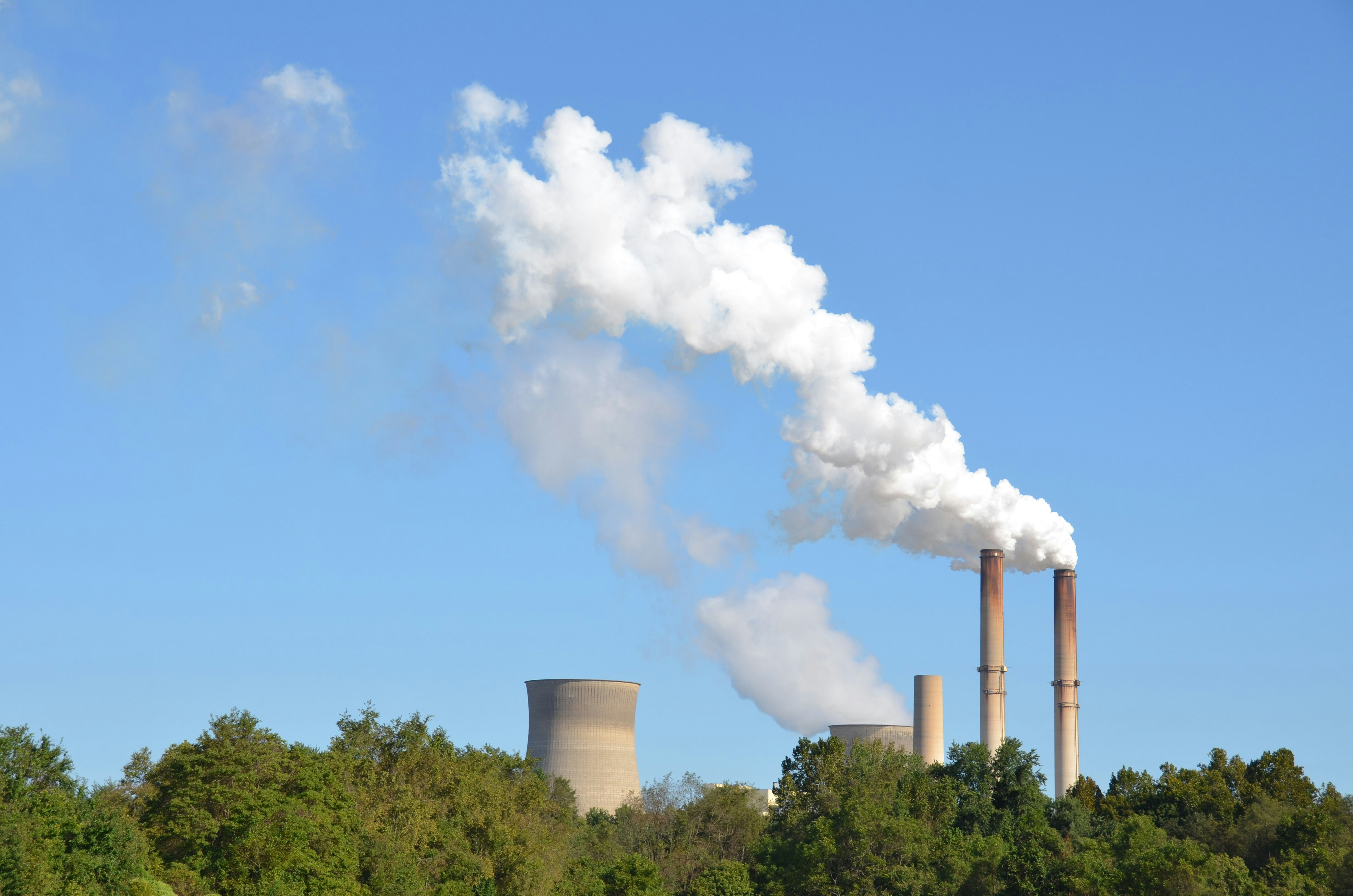 Industrial plume above a tree line: a quiet power station silhouette