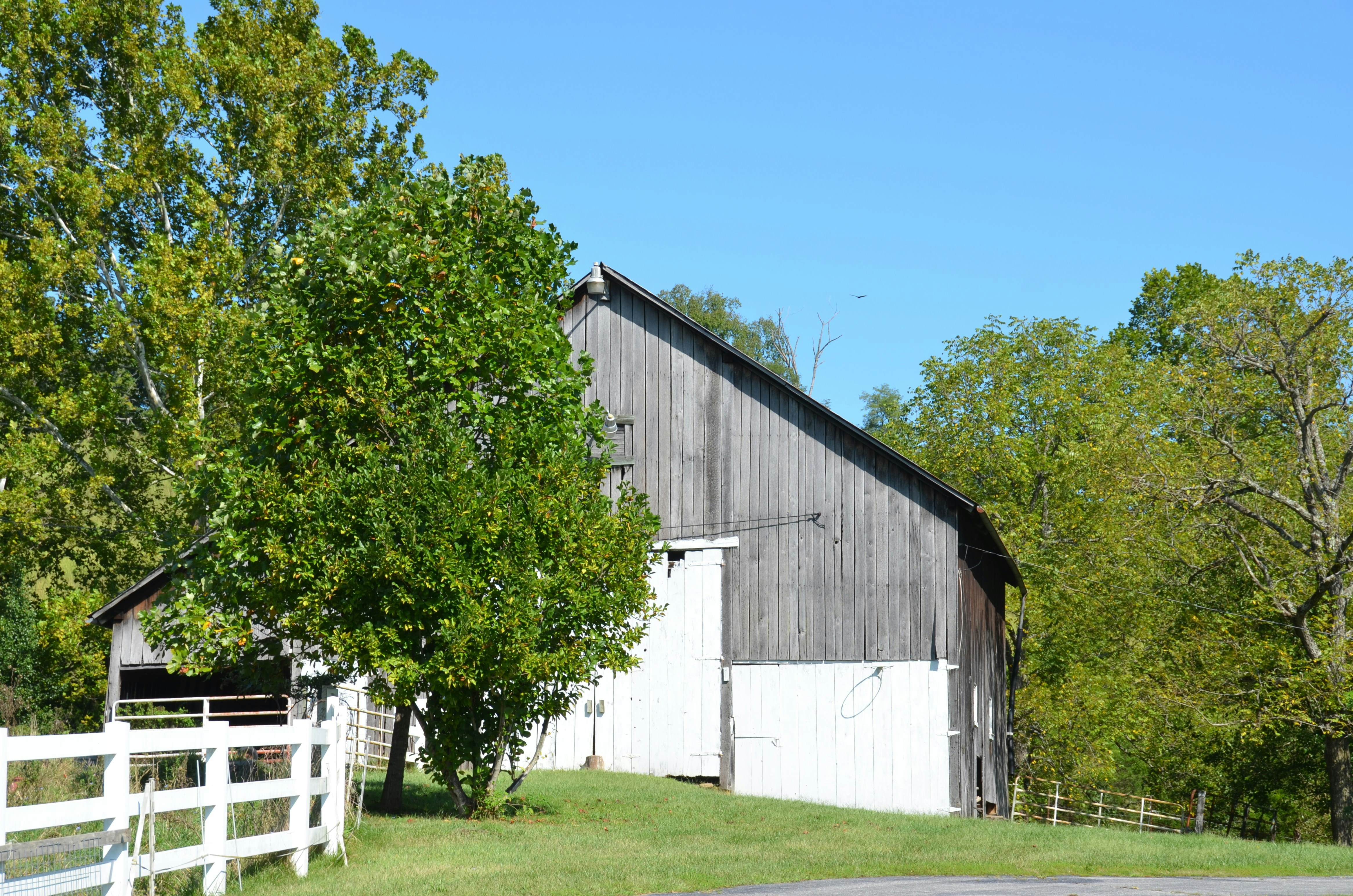 Weathered barn under a bright sky, framed by leafy trees