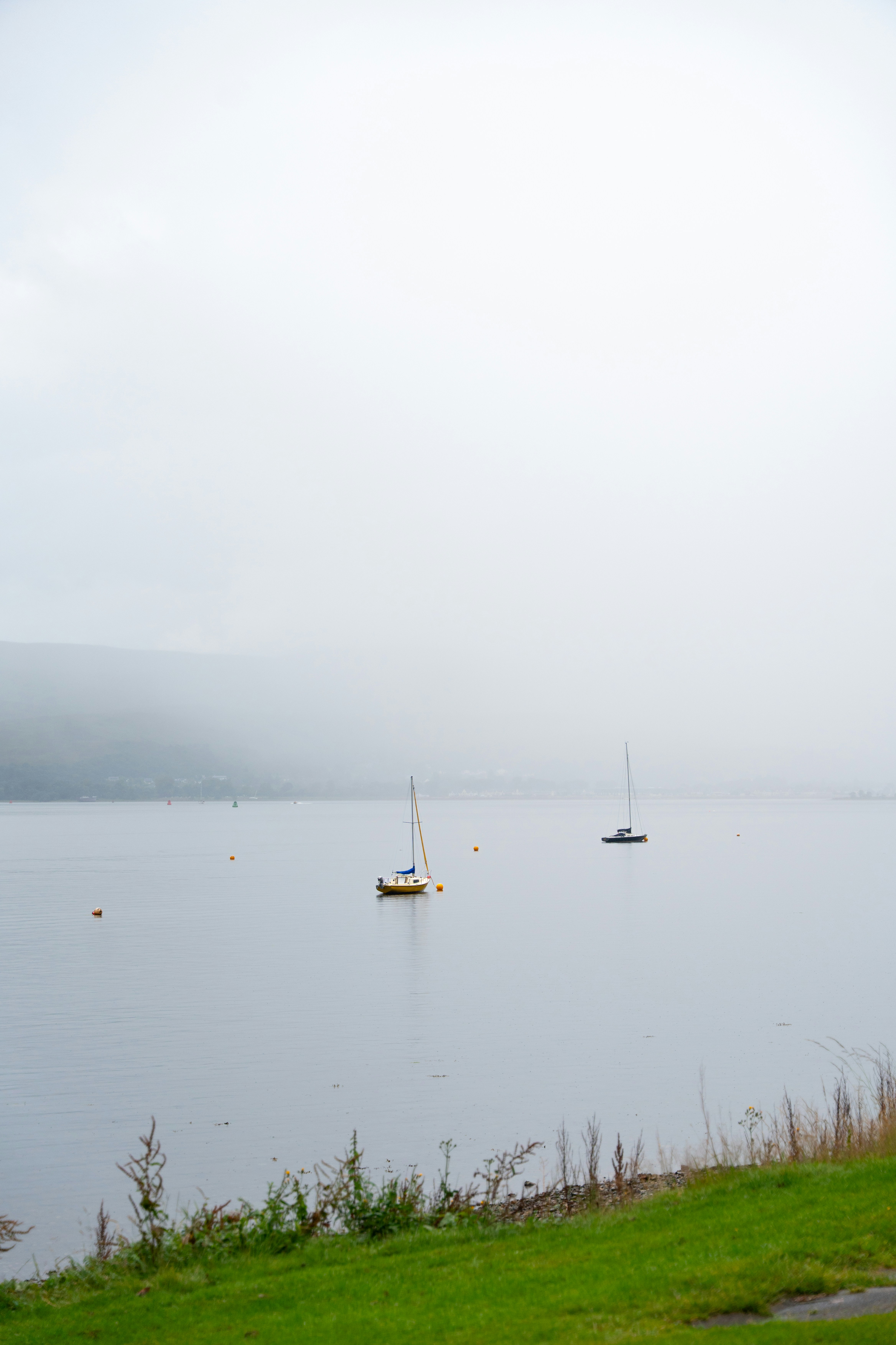 Misty Lake Rendezvous: Sailboats on a Quiet Horizon