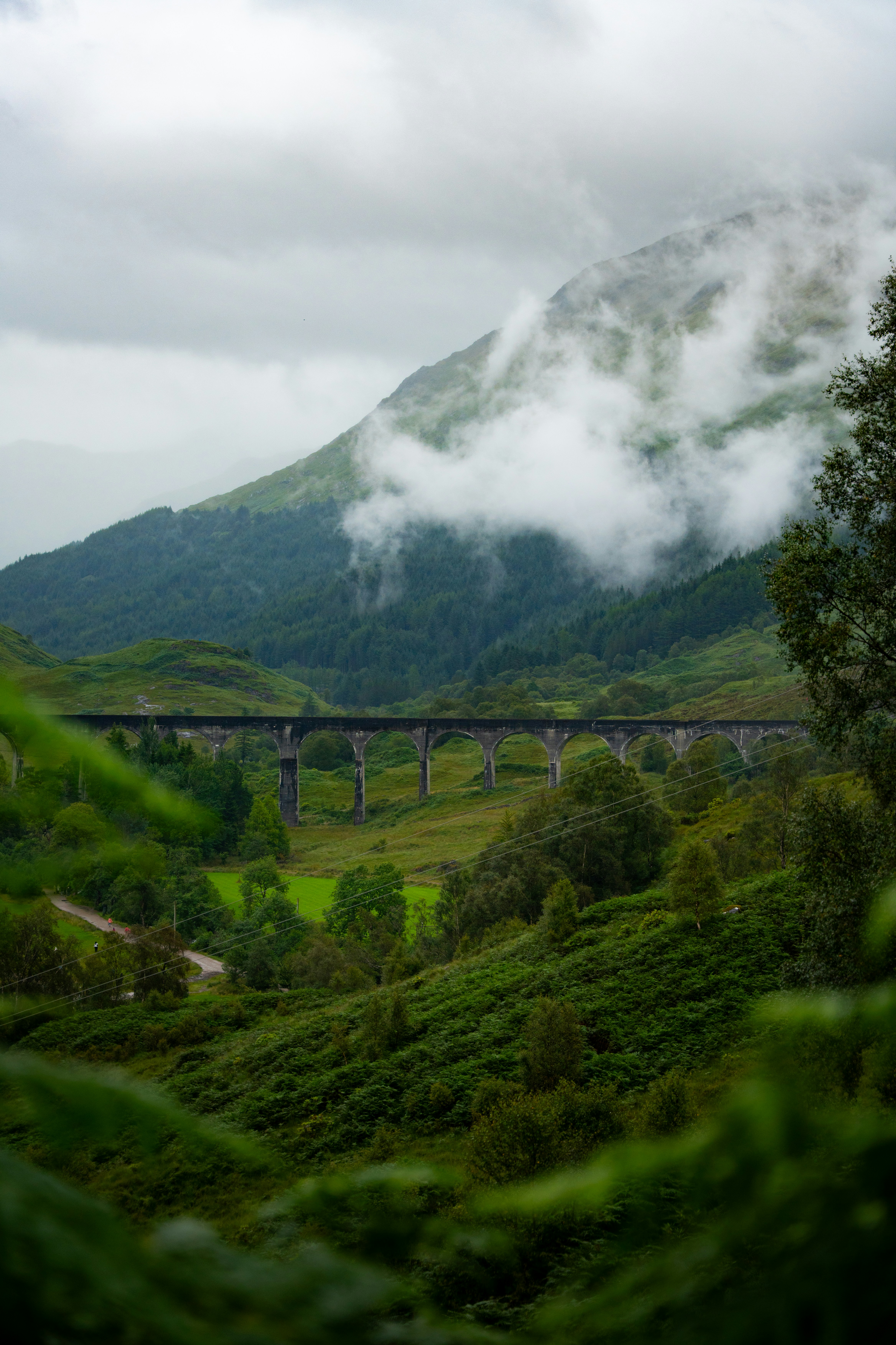 Mist over the Viaduct: Green Valley and Arching Rails