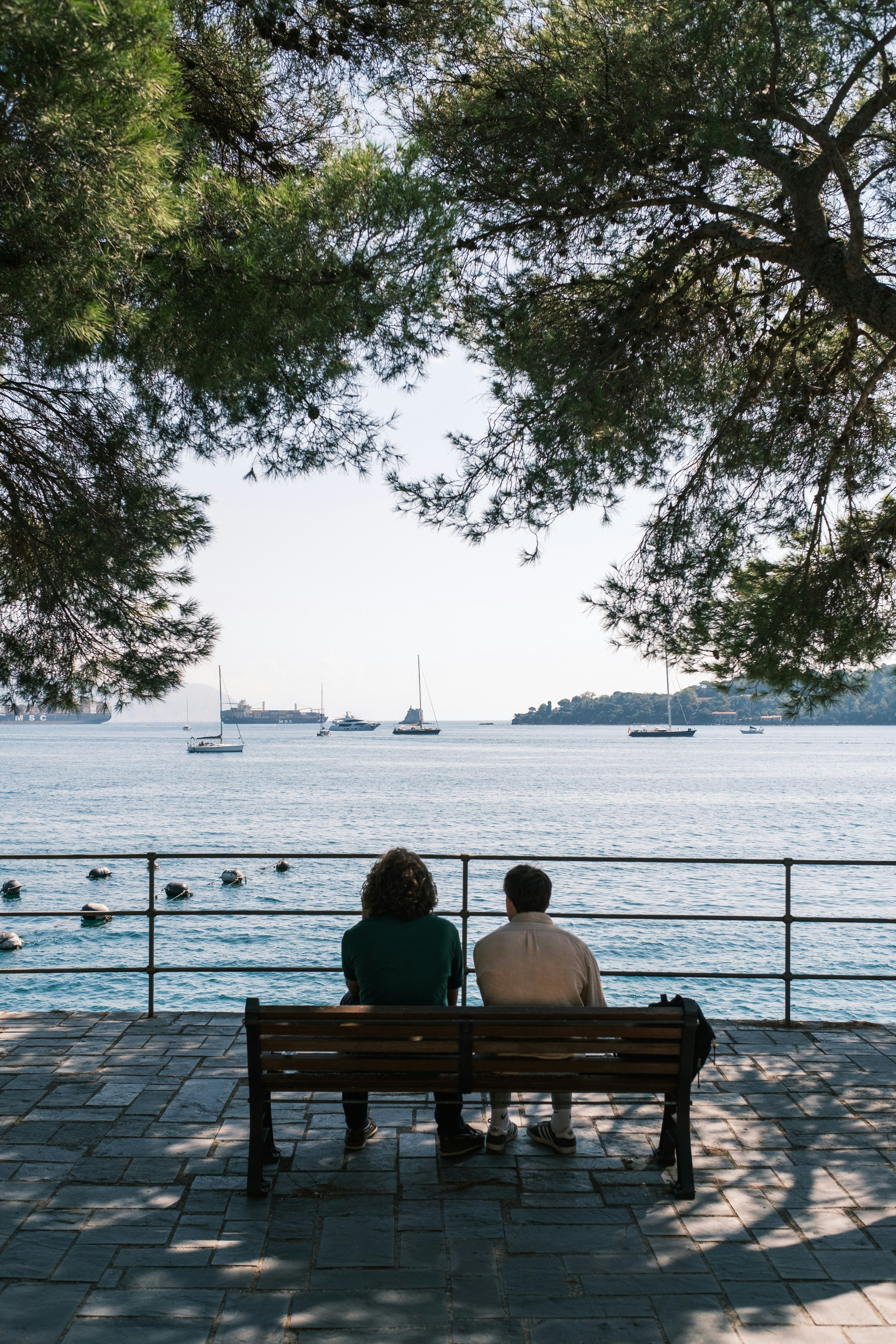 Silhouette of Companions on a Waterfront Bench under Framing Trees