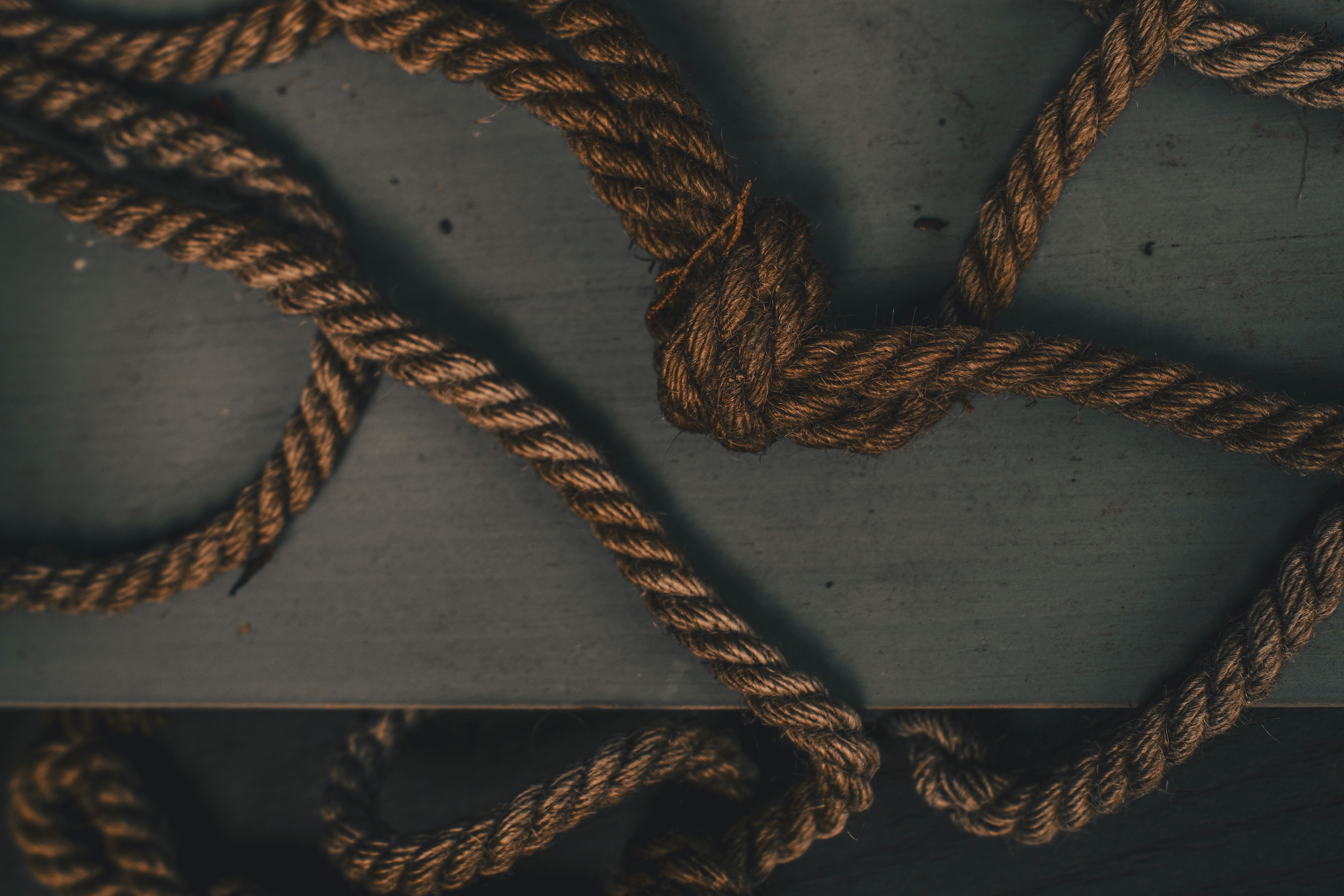Tangled Ropes: A Study in Knot and Shadow on Weathered Planks
