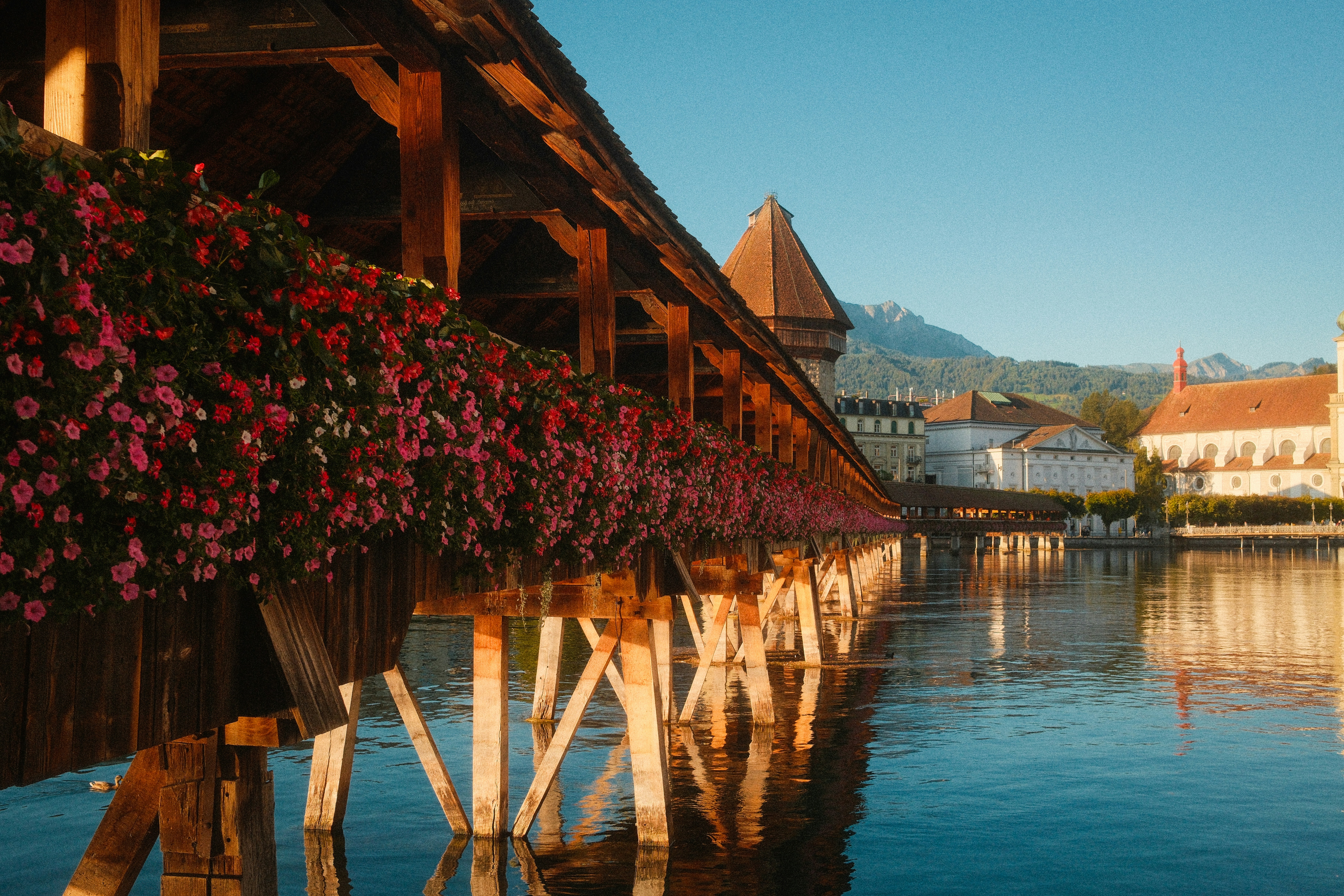 Waterfront Gallery: Flowered Arcade Framing a Riverside Fortress