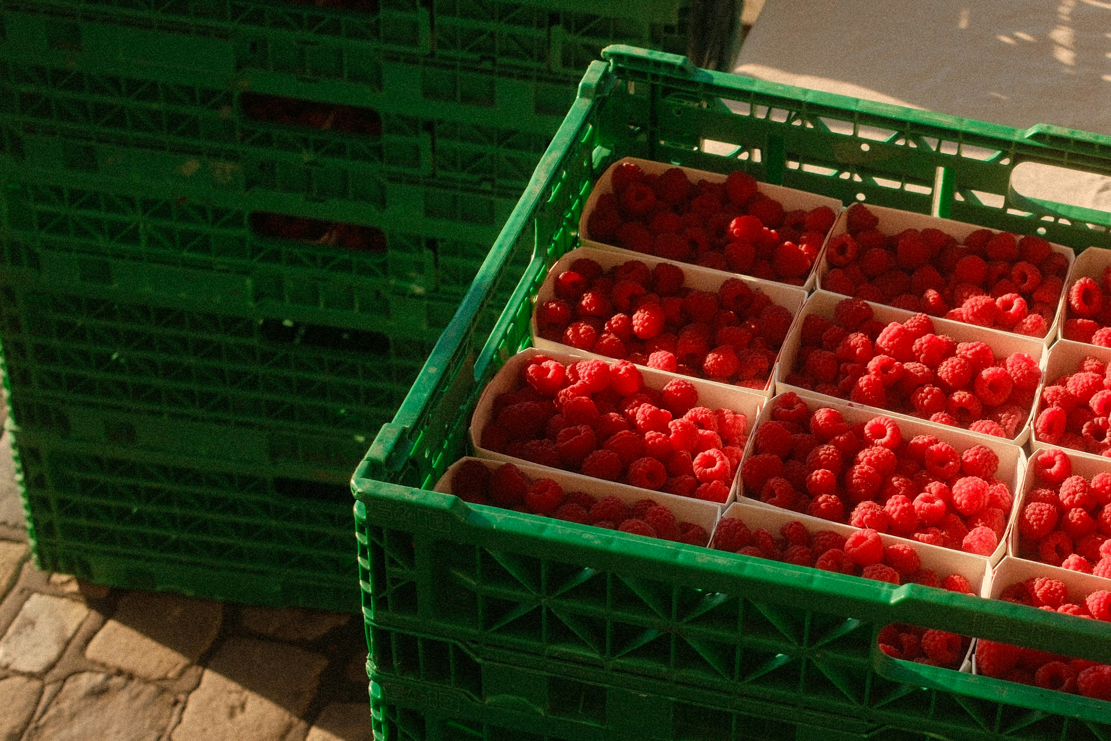 Crates of Fresh Raspberries: Sunlit Bins and Verdant Stacks