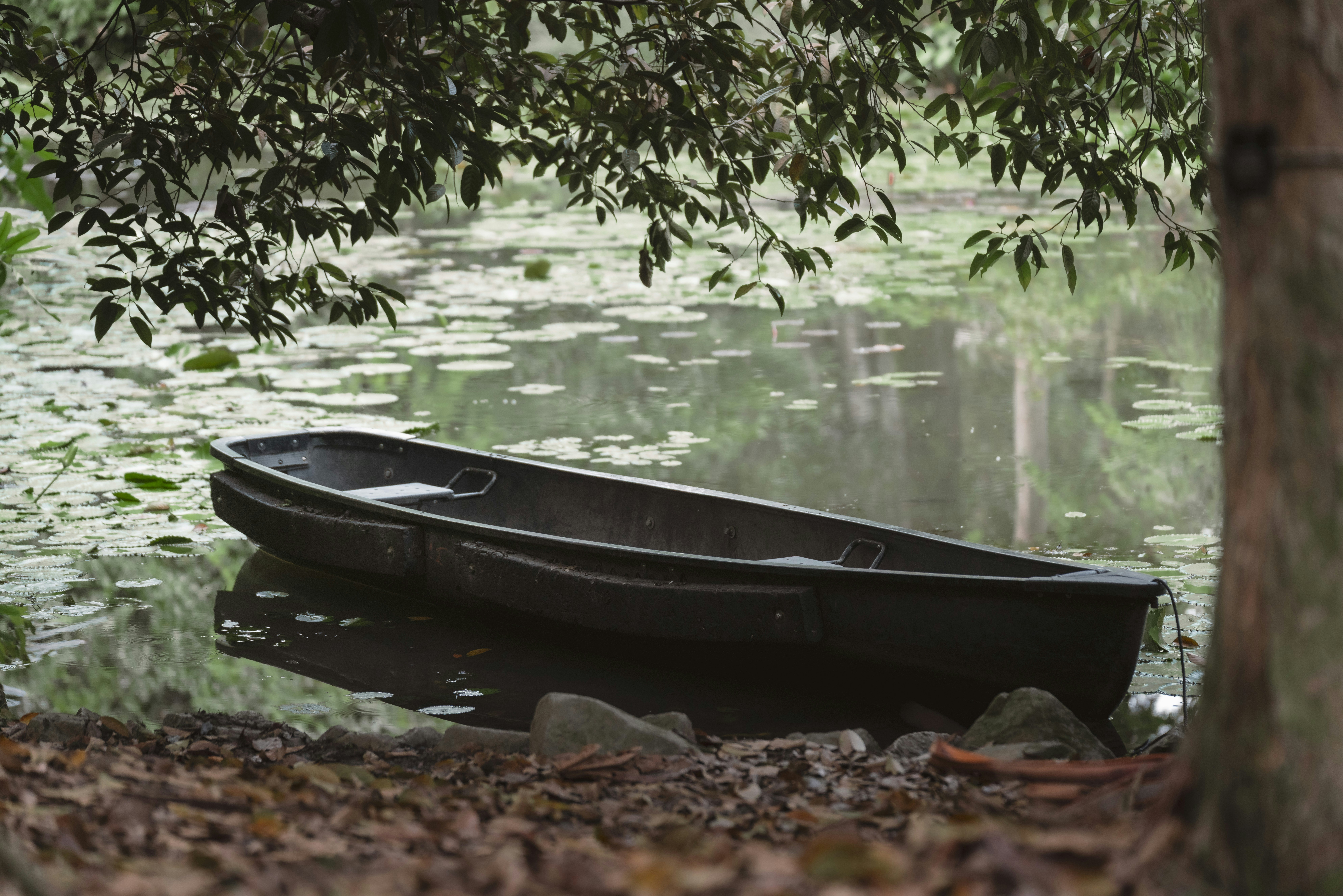Dark rowboat at the pond’s edge under overhanging leaves