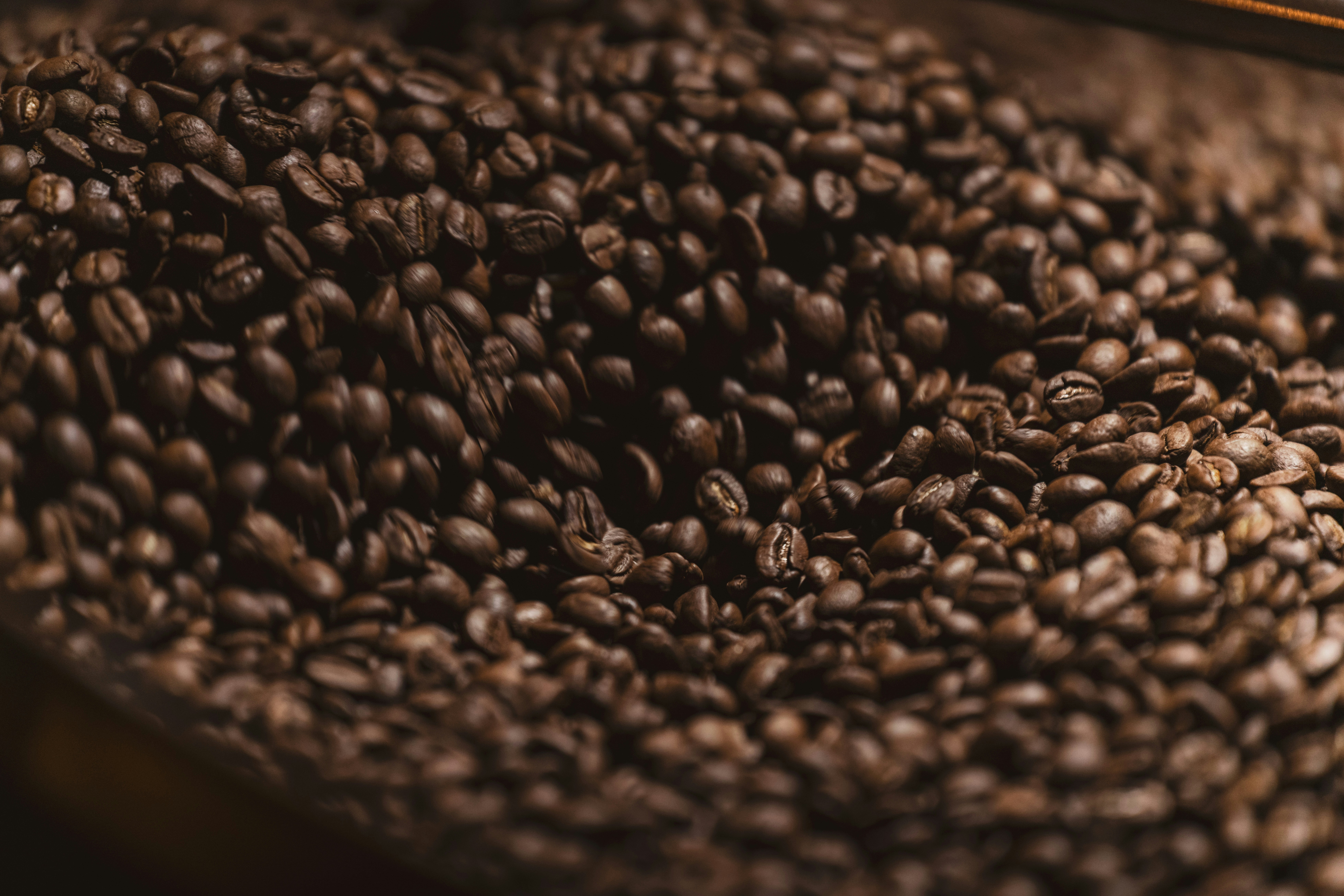 Midday Roast: A Dense Field of Coffee Beans