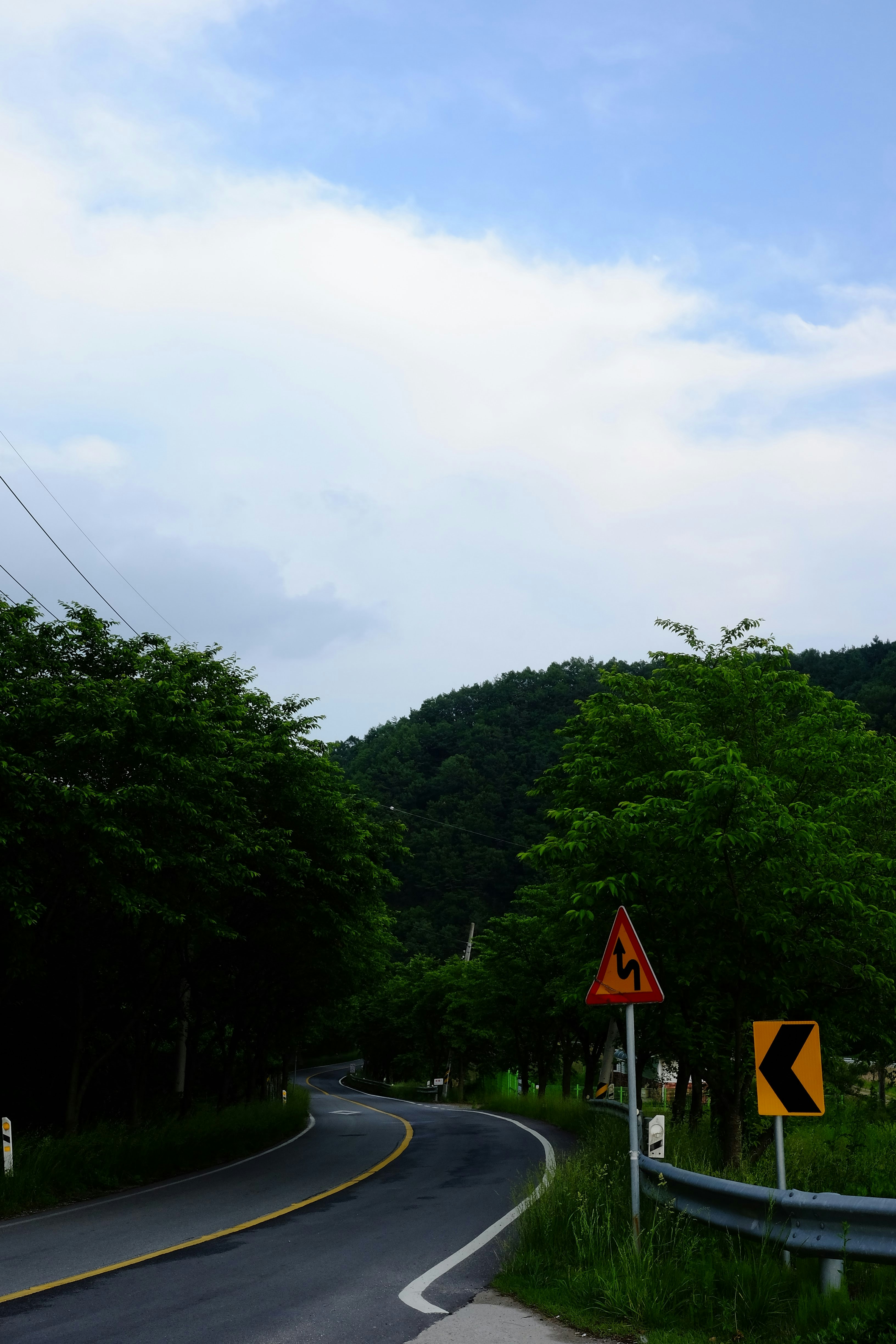Sine Curve on a Leafy Bend: A Quiet Country Road Signpost Narrative