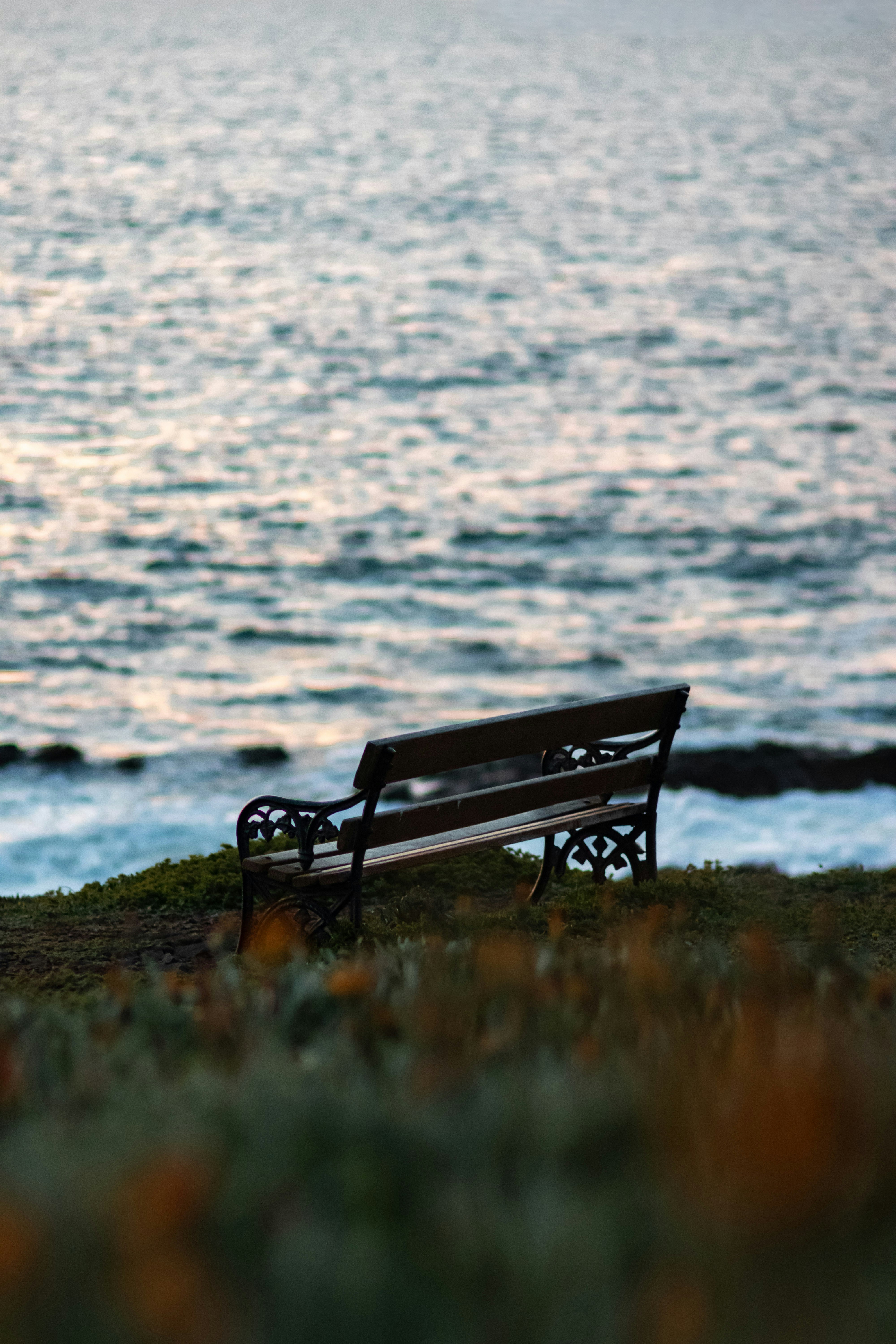 Solace by the Sea: A Lone Bench Watches the Tide