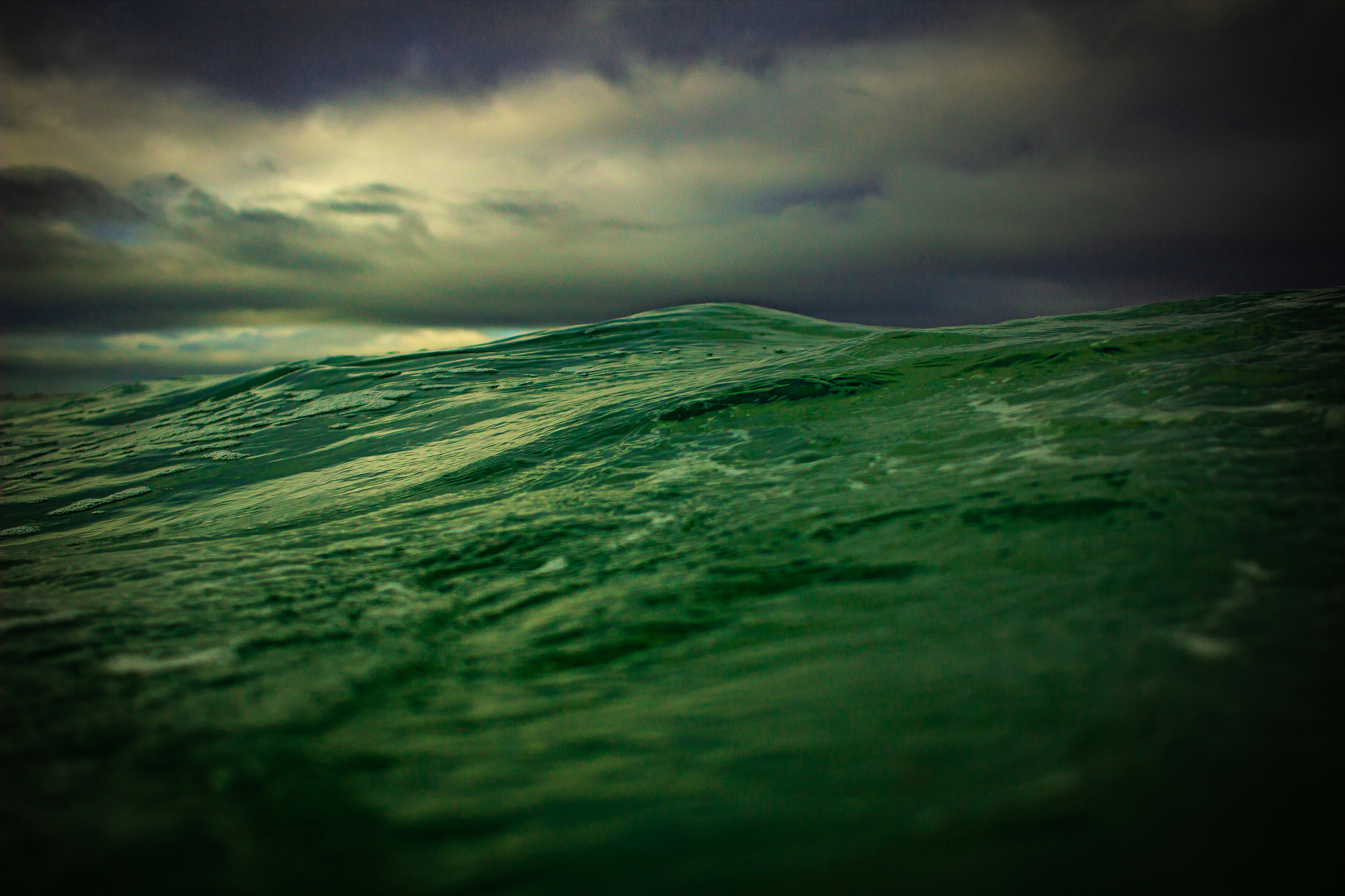 Green Crest: A Sea at Dusk Unfolds from the Edge