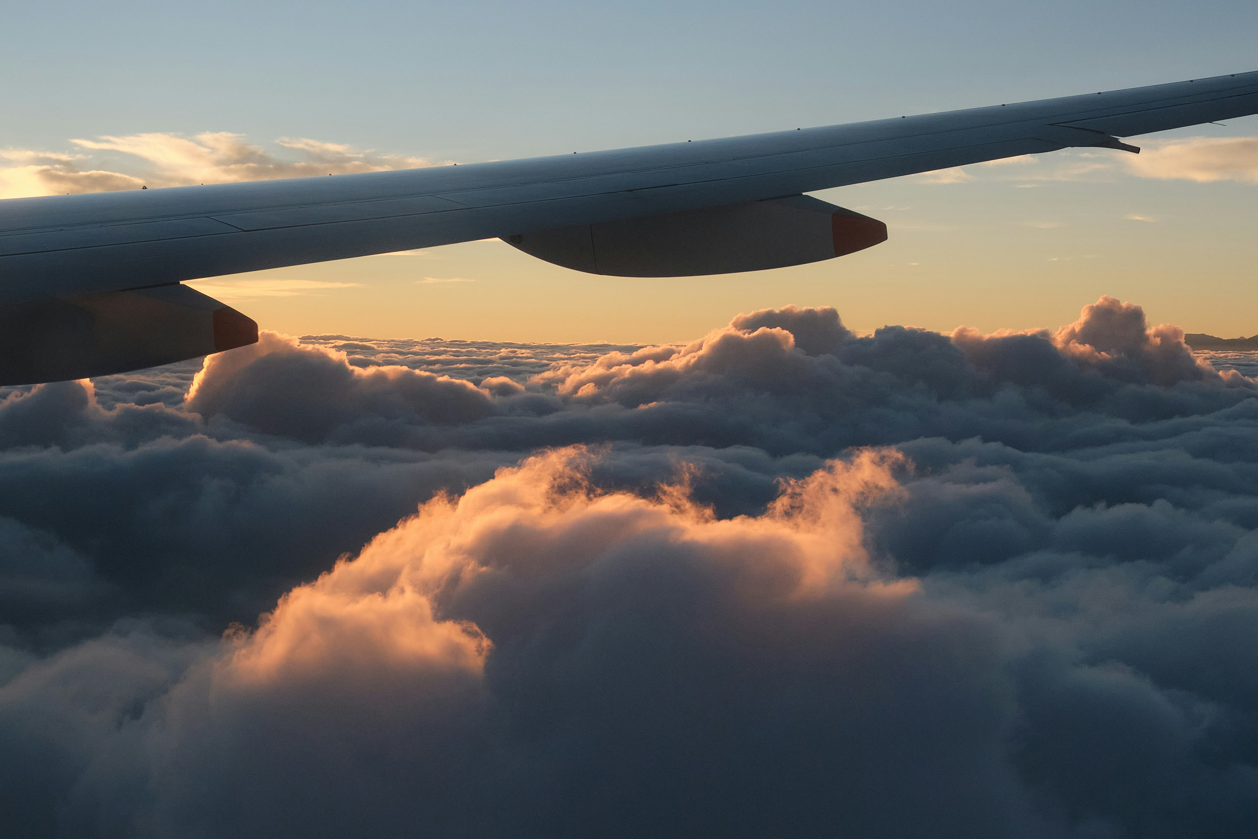 Wings Above a Golden Sea: Sunset Glide