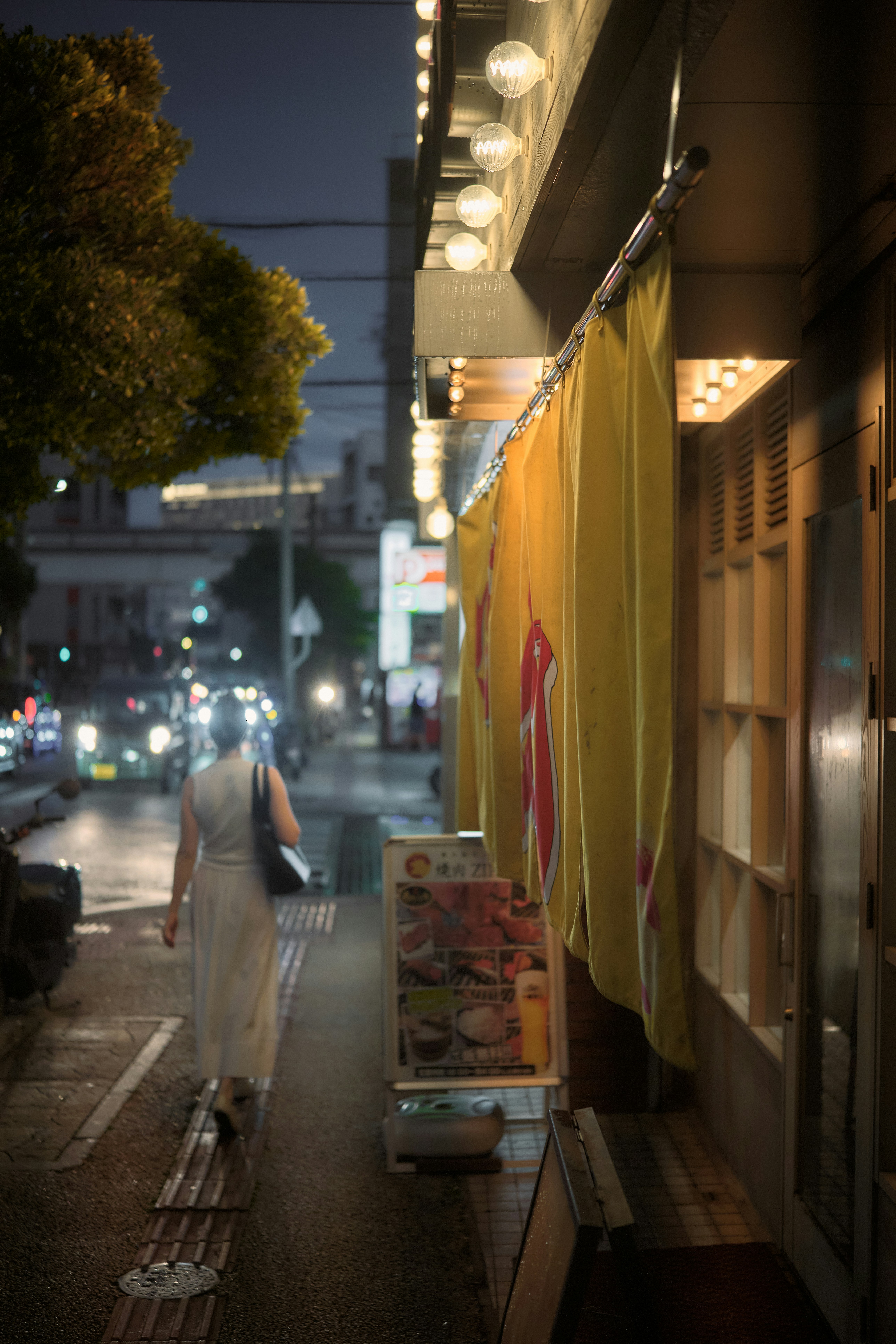 Evening Walk past a Neon-Charmed Facade