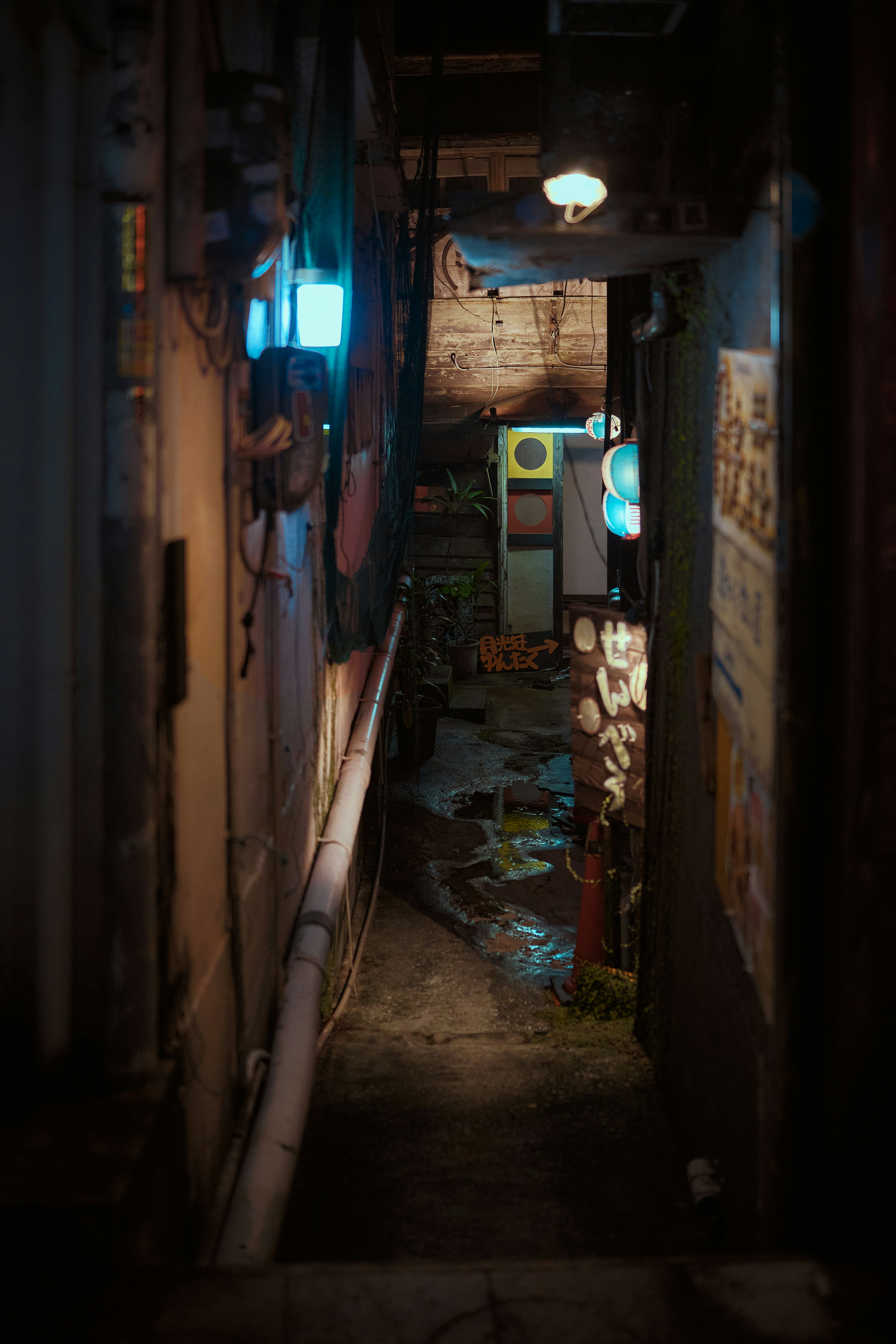 Neon Corridor to a Hidden Courtyard